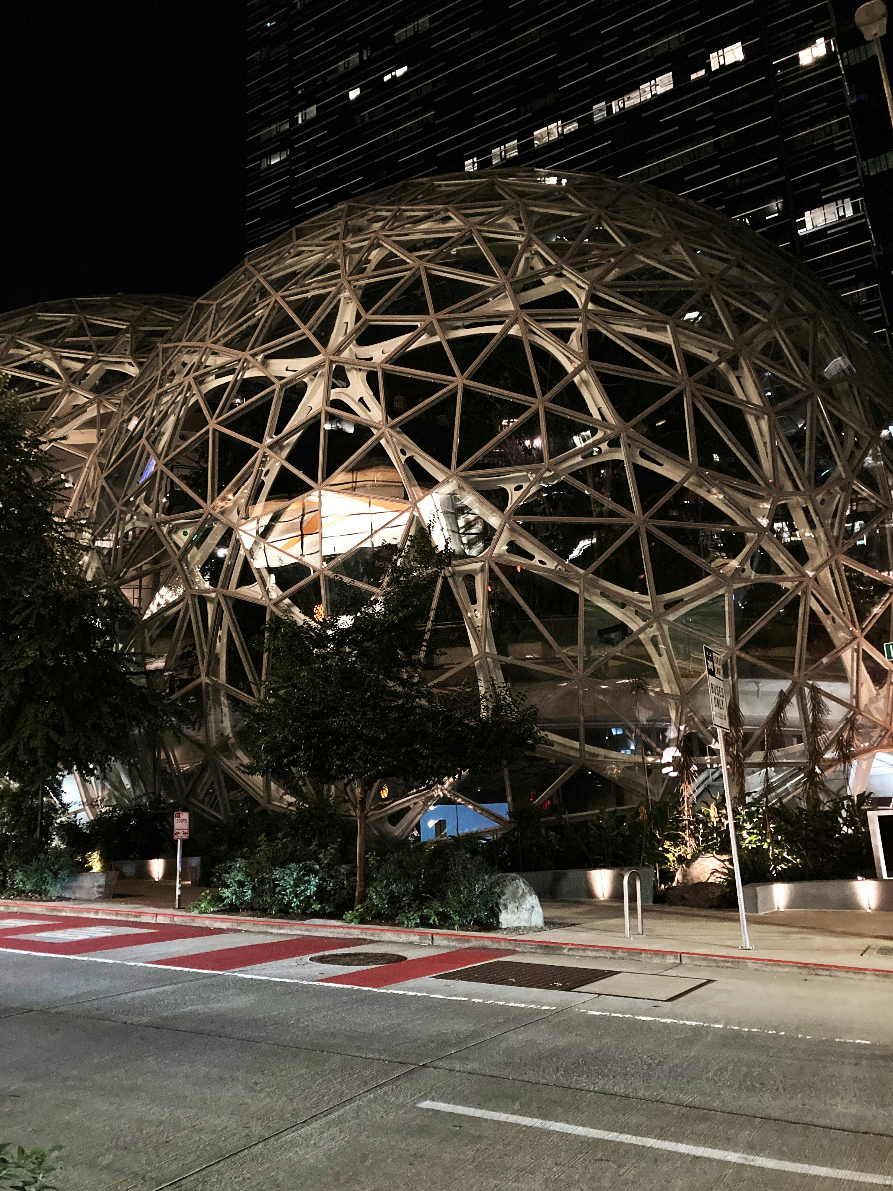 Intricate geodesic structure illuminated at night, surrounded by urban greenery and modern architecture.