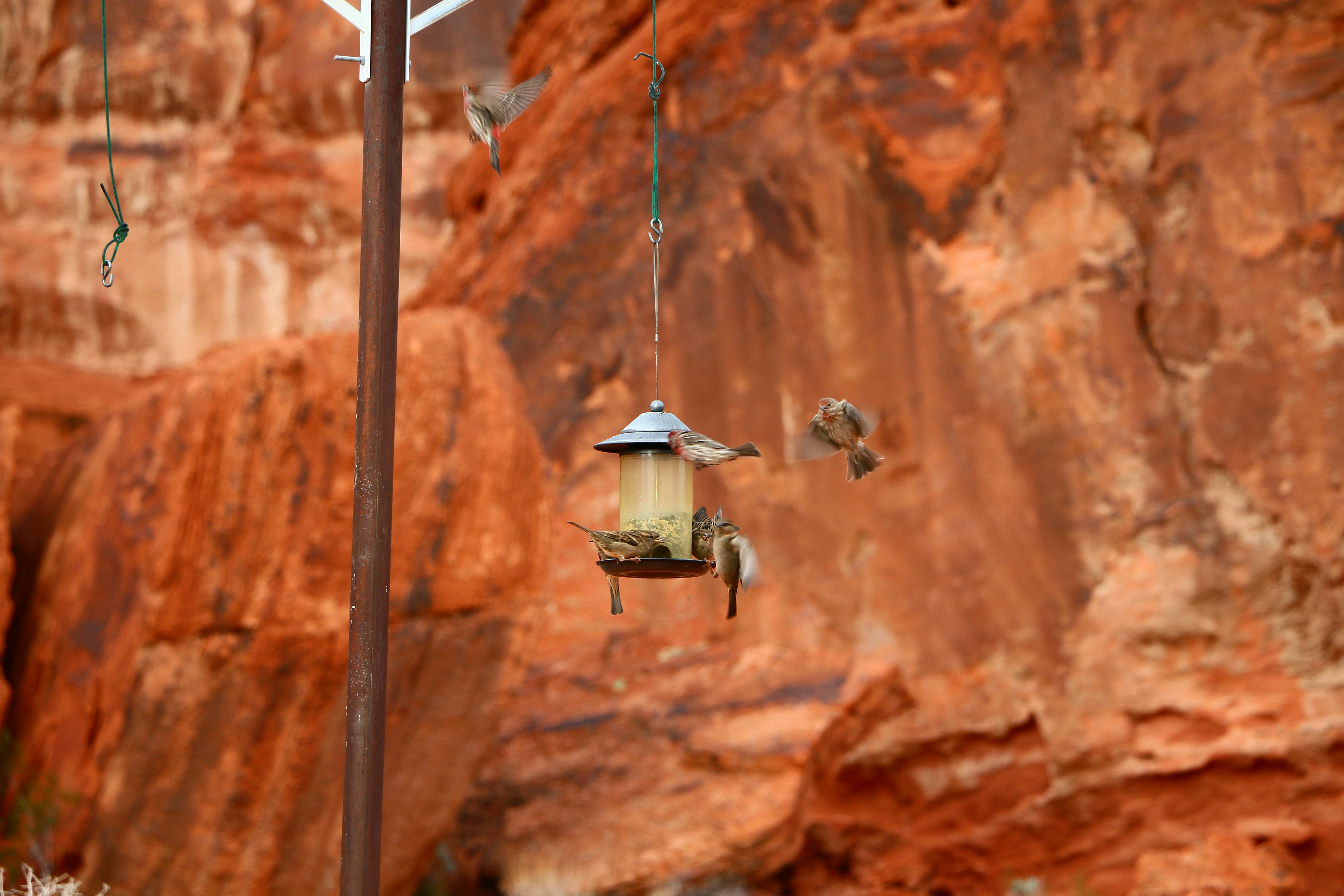 Photo by Daniel Bae with Canon EOS 70D