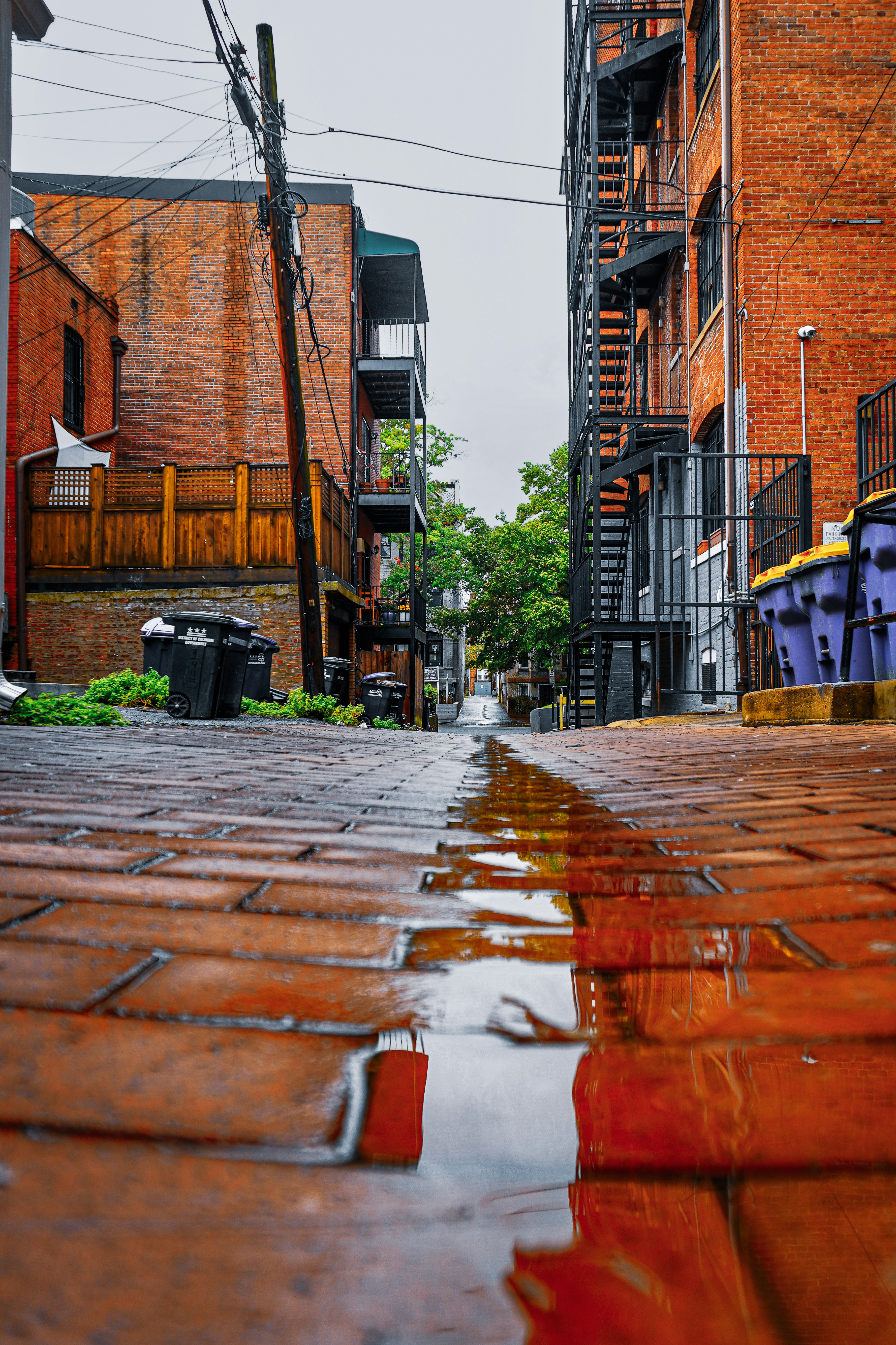 Puddle-Glazed Brick Alley: Reflections Between Red Walls