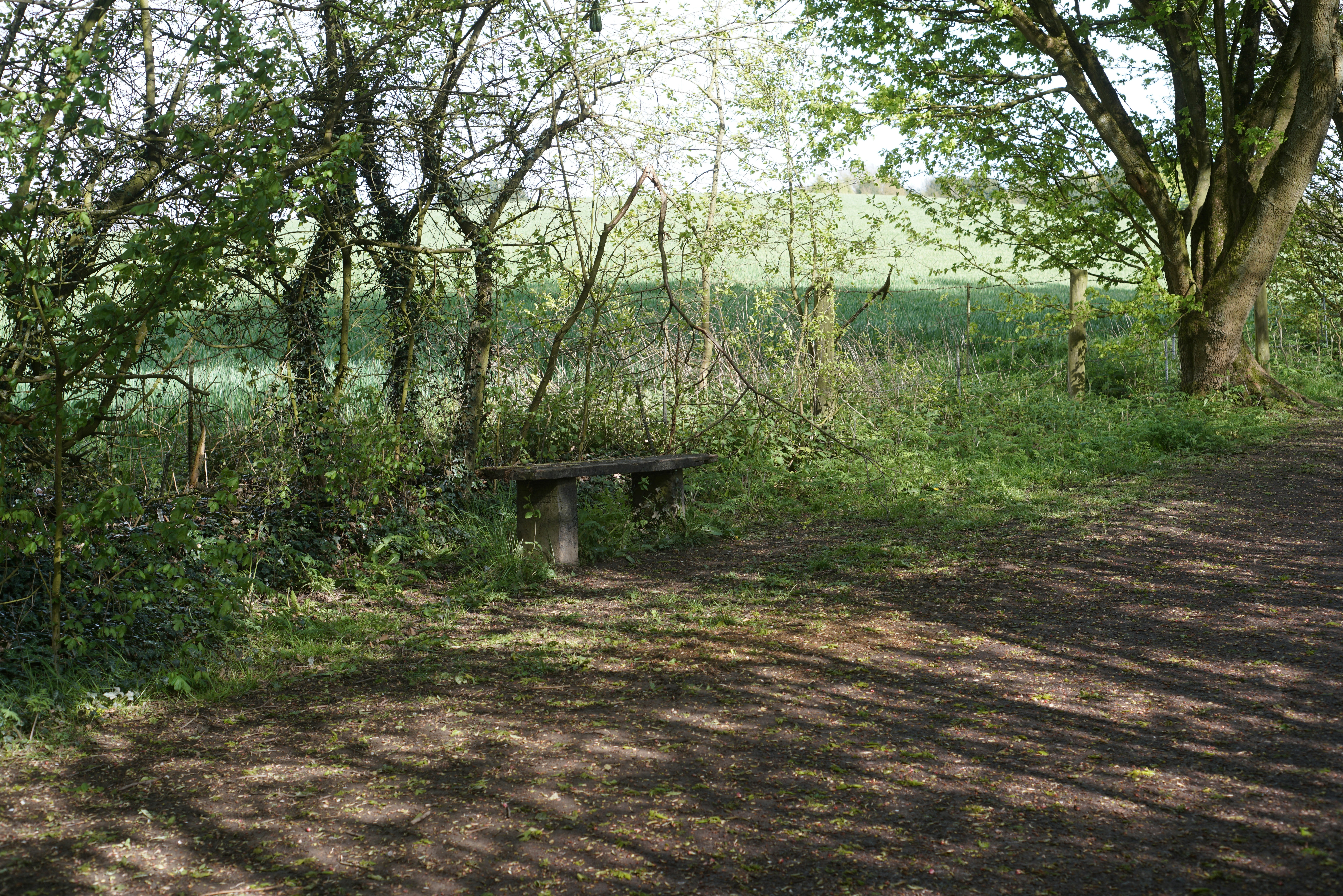 Whispers of Nature: A Tranquil Retreat