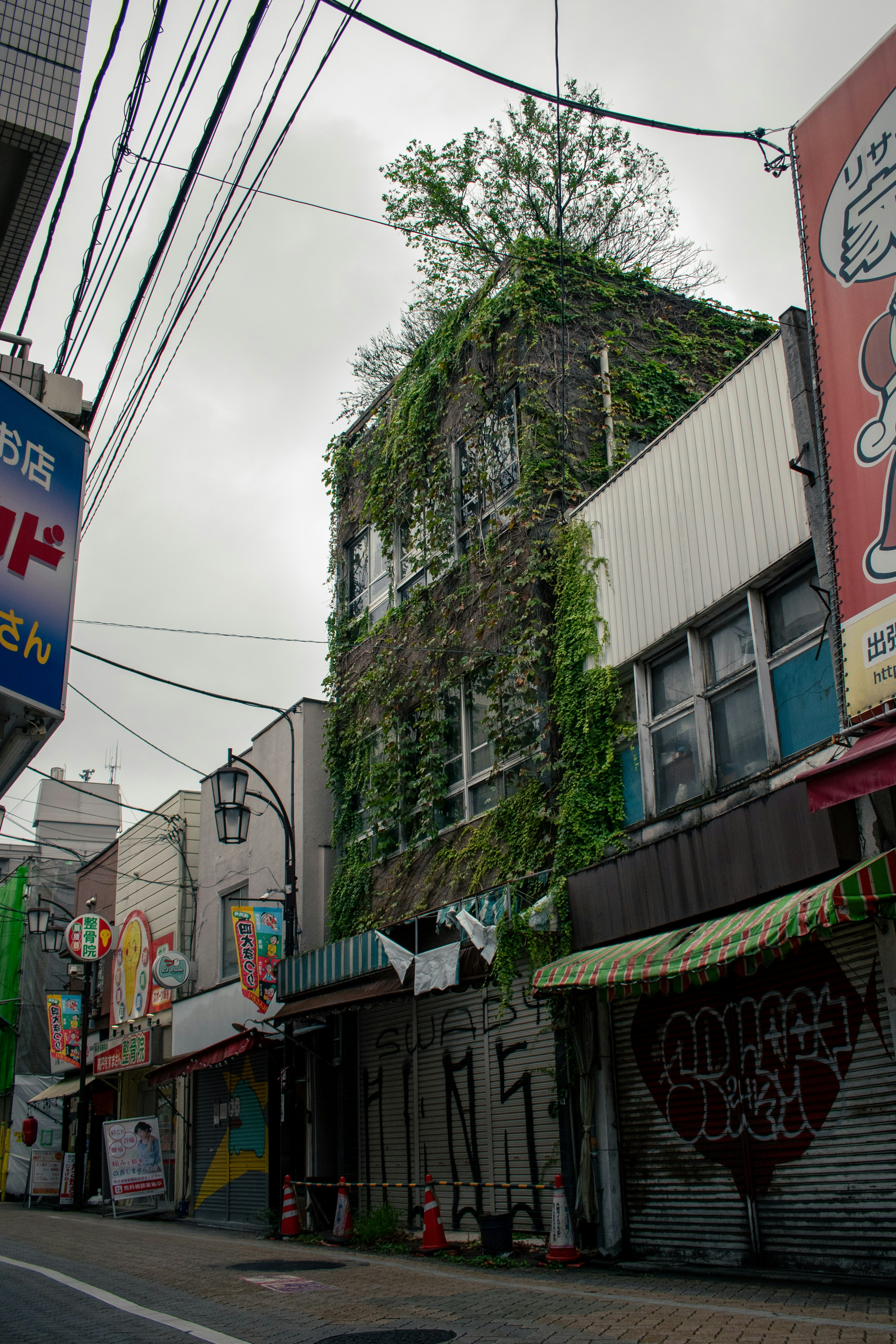 Ivy-Clad Facade Crowns a Quiet Osaka Street