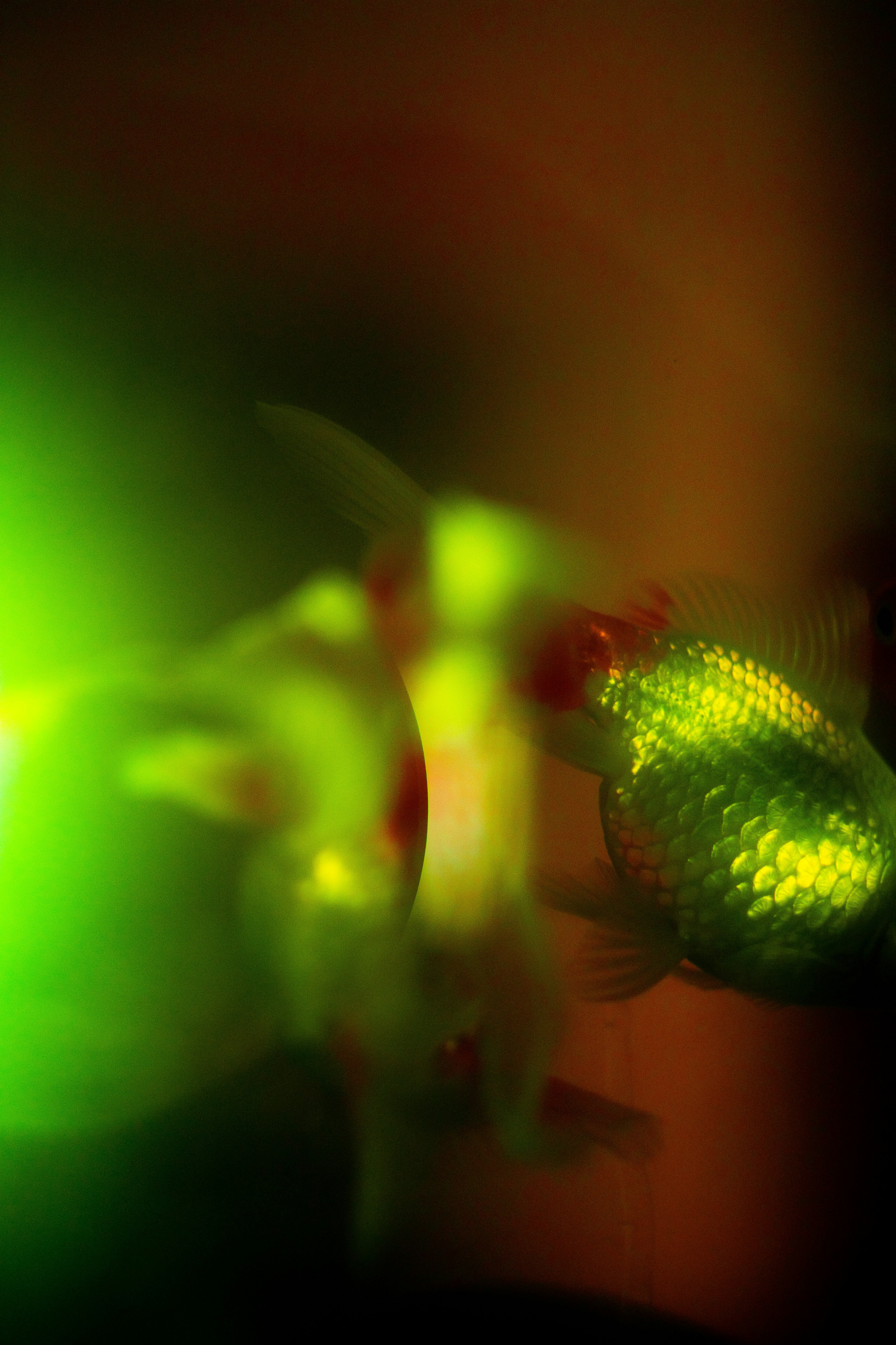 Photo by Arleth Méndez with Nikon D3400