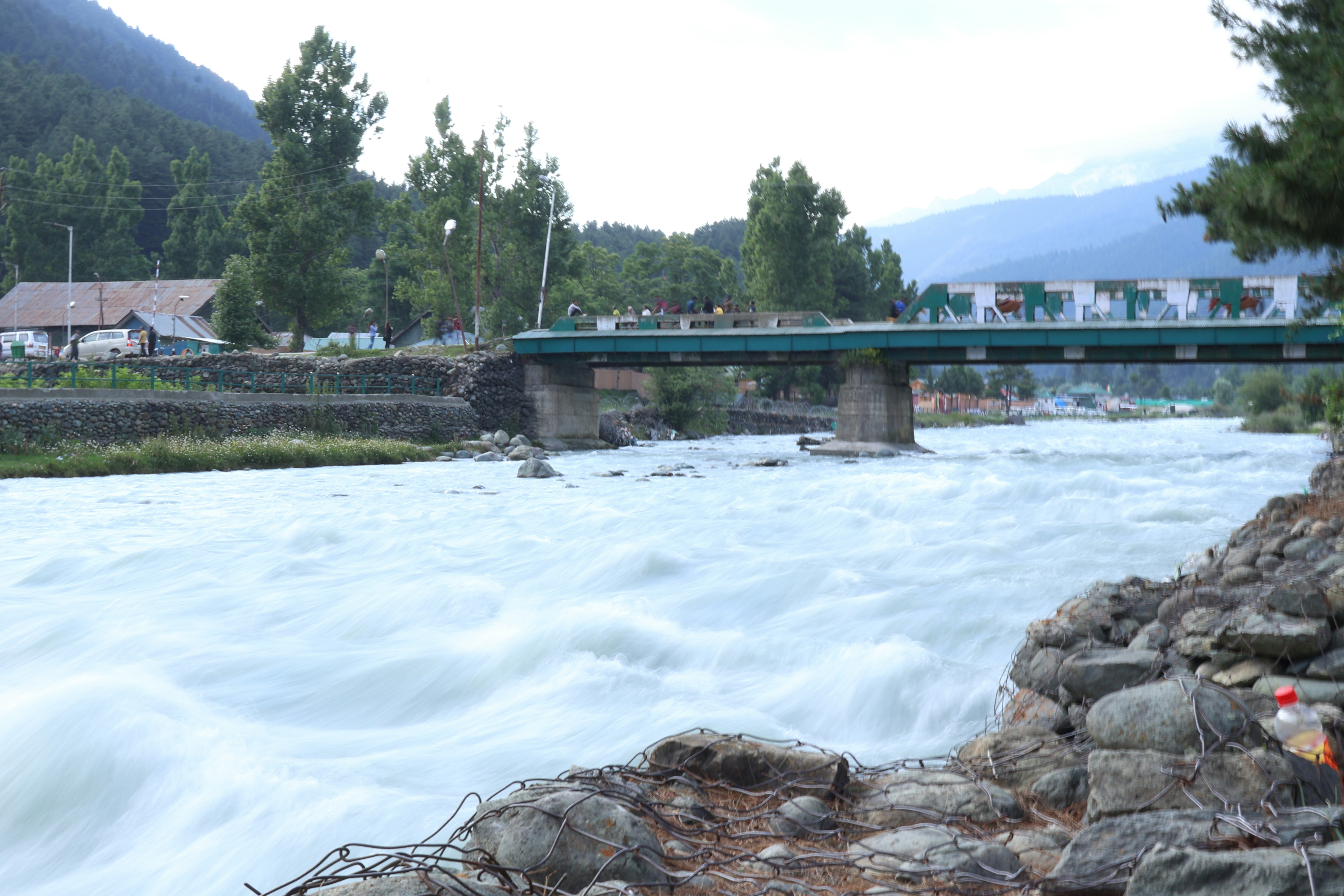 A vibrant river flows beneath a green bridge, framed by lush trees and distant mountains, capturing the harmony of nature and infrastructure.