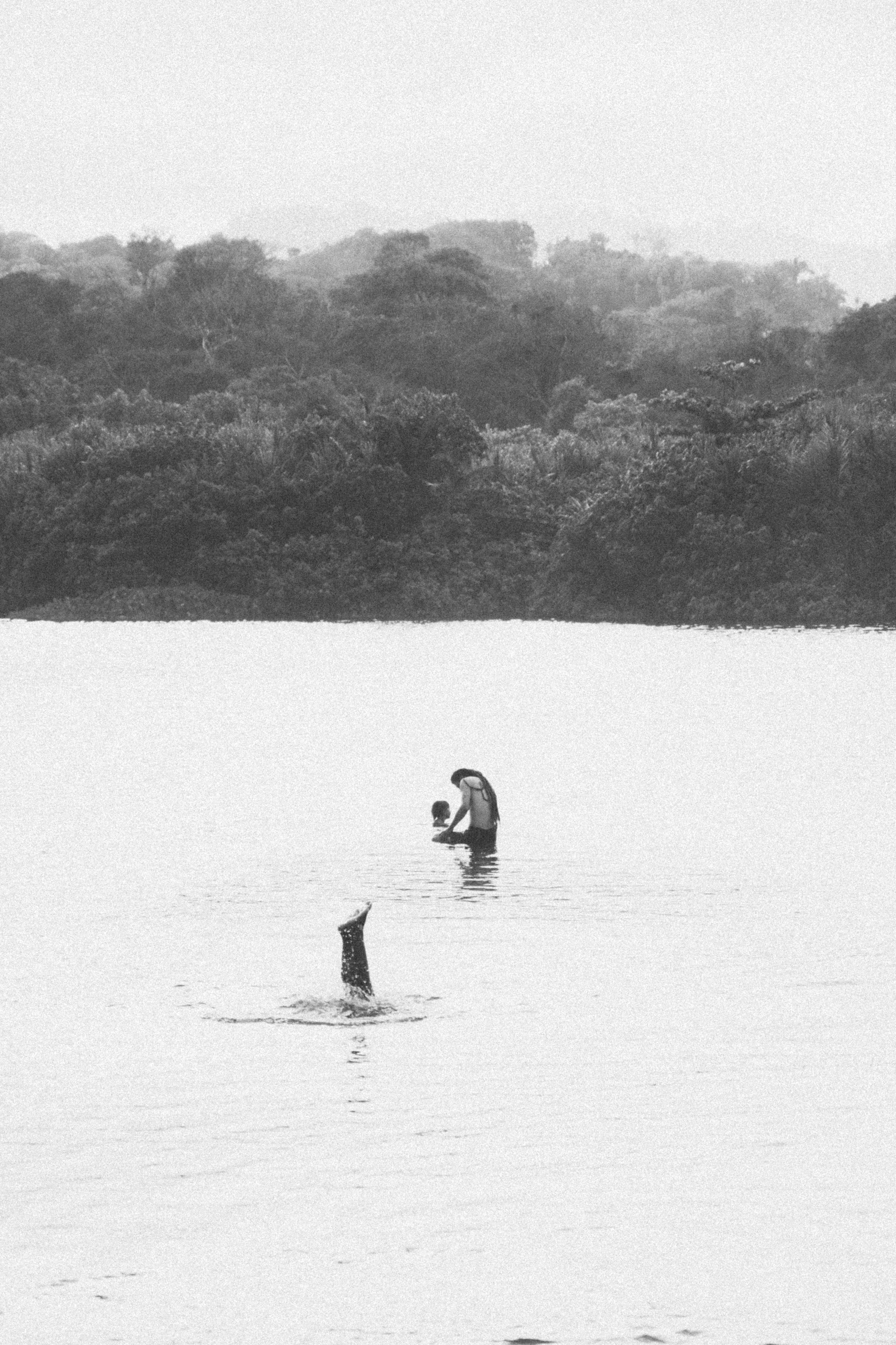 Whale Tail and Child at Dusk: A Quiet Shore Moment