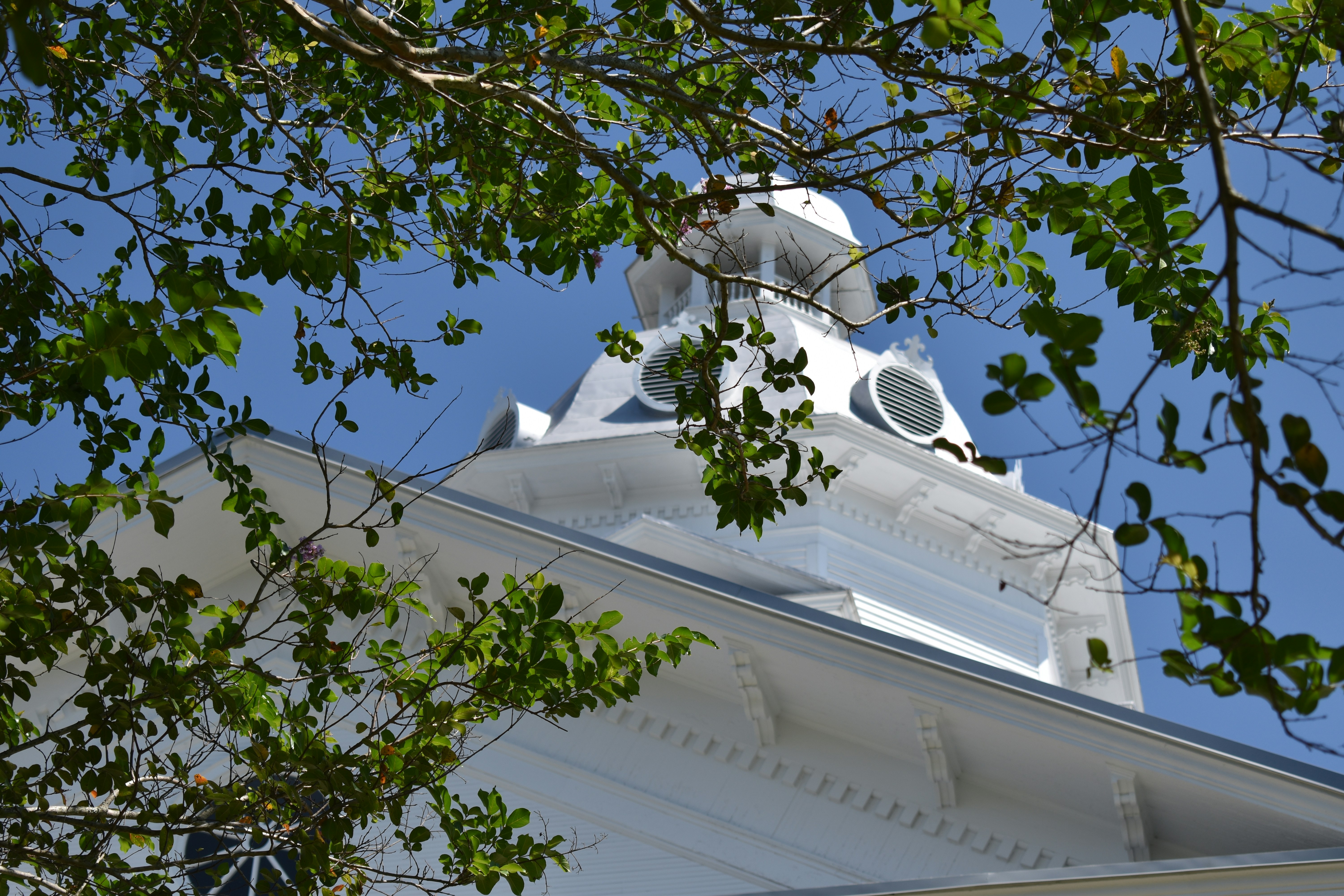 Cupola Summit Framed by Green Canopy