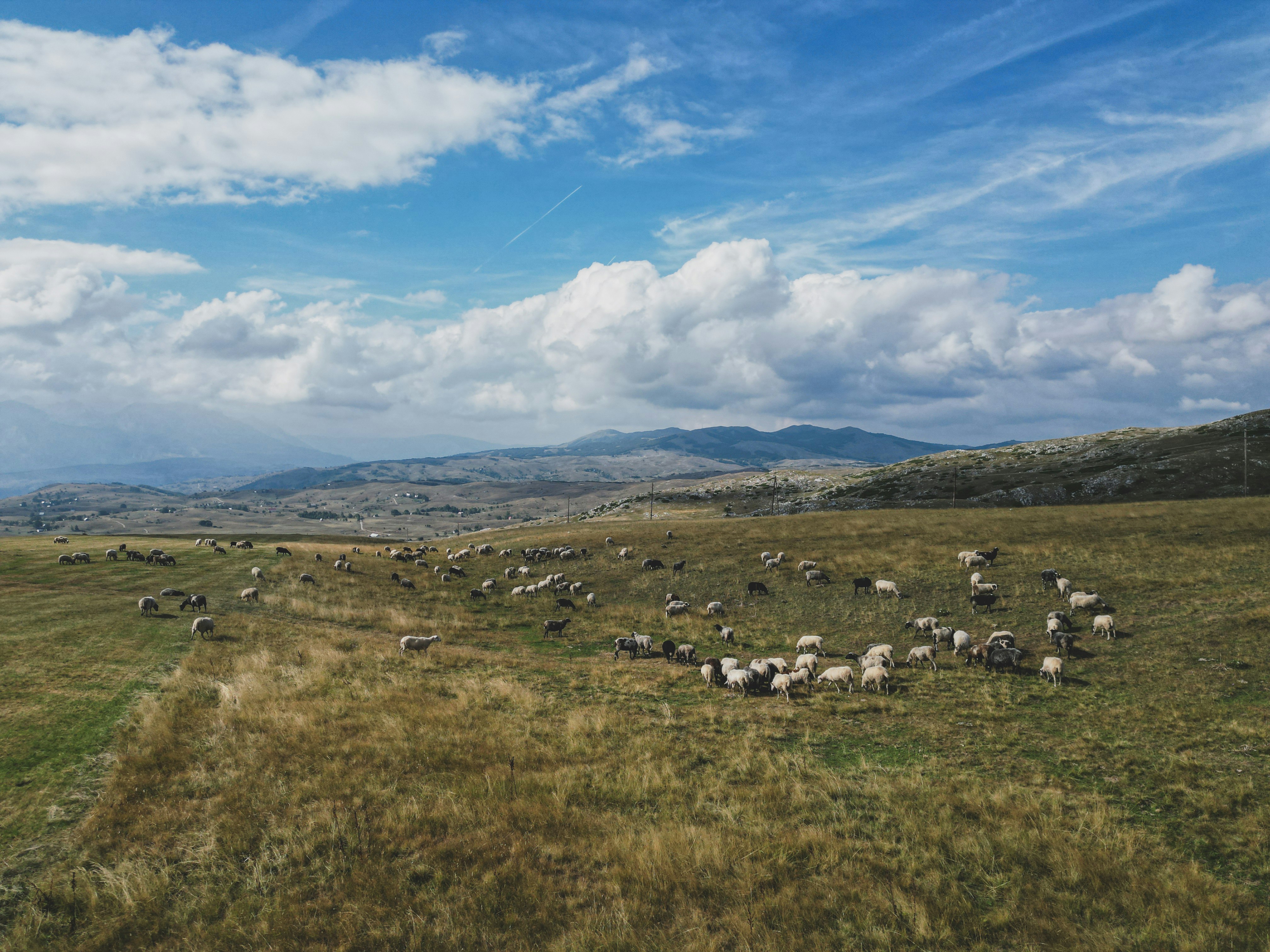 Photo by Laurynas Žižys with DJI Mini 3 Pro