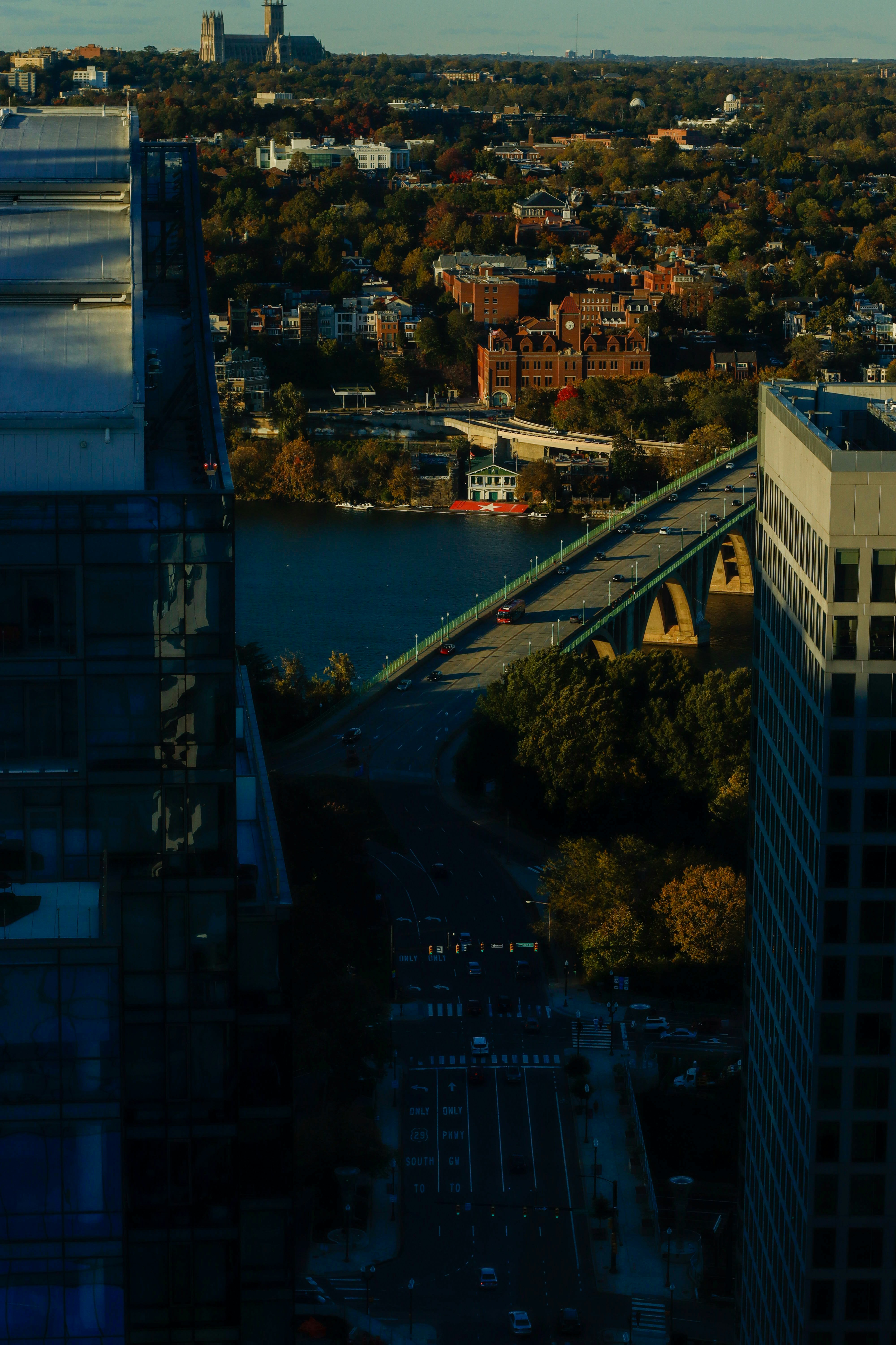 City skyline with a bridge spanning across a river, surrounded by autumn trees and high-rise buildings.