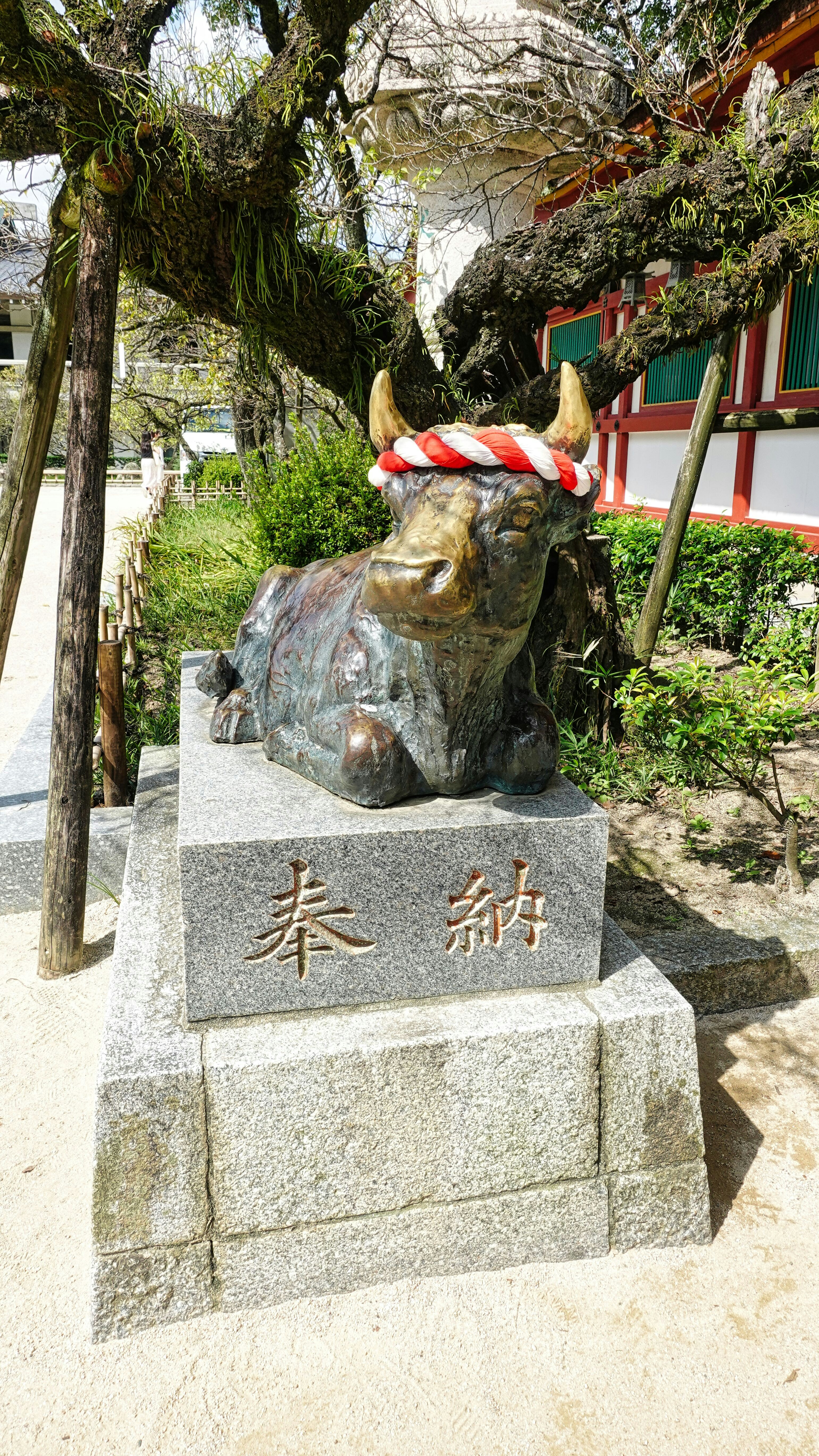 Bronze ox statue wearing a red-and-white shimenawa rope sits on a stone pedestal beside a traditional shrine.