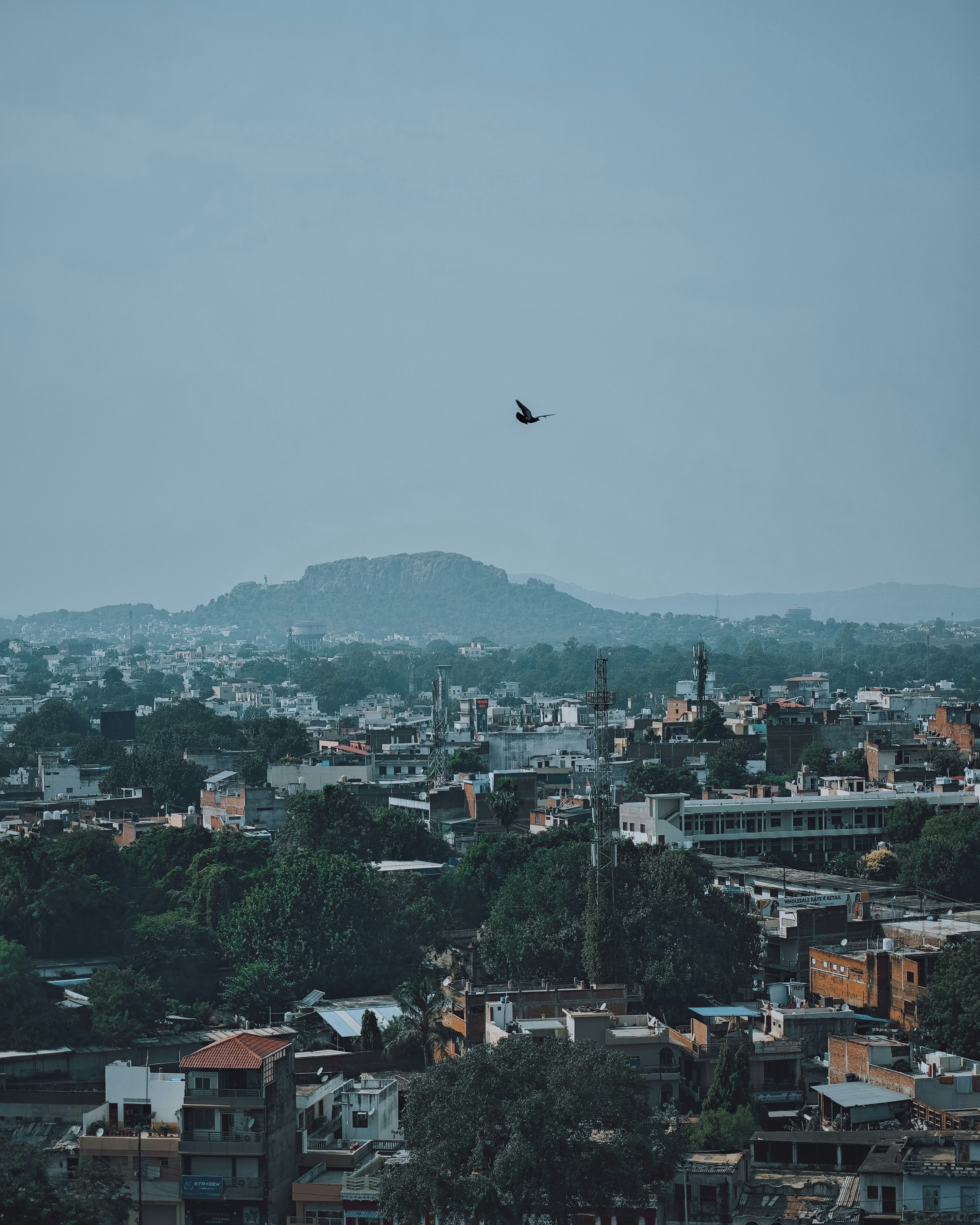 Lone Bird Over a Layered City Beneath a Quiet Blue Horizon
