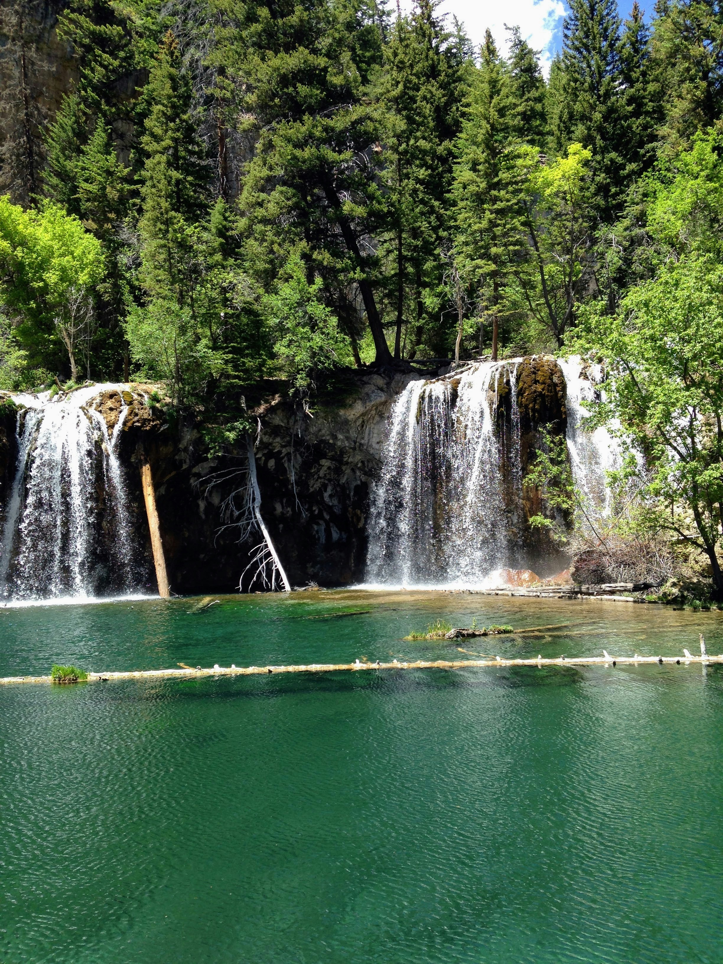 Water pours over a rocky ledge into a turquoise pool, framed by a dense evergreen forest. The scene captures a tranquil waterfall environment.