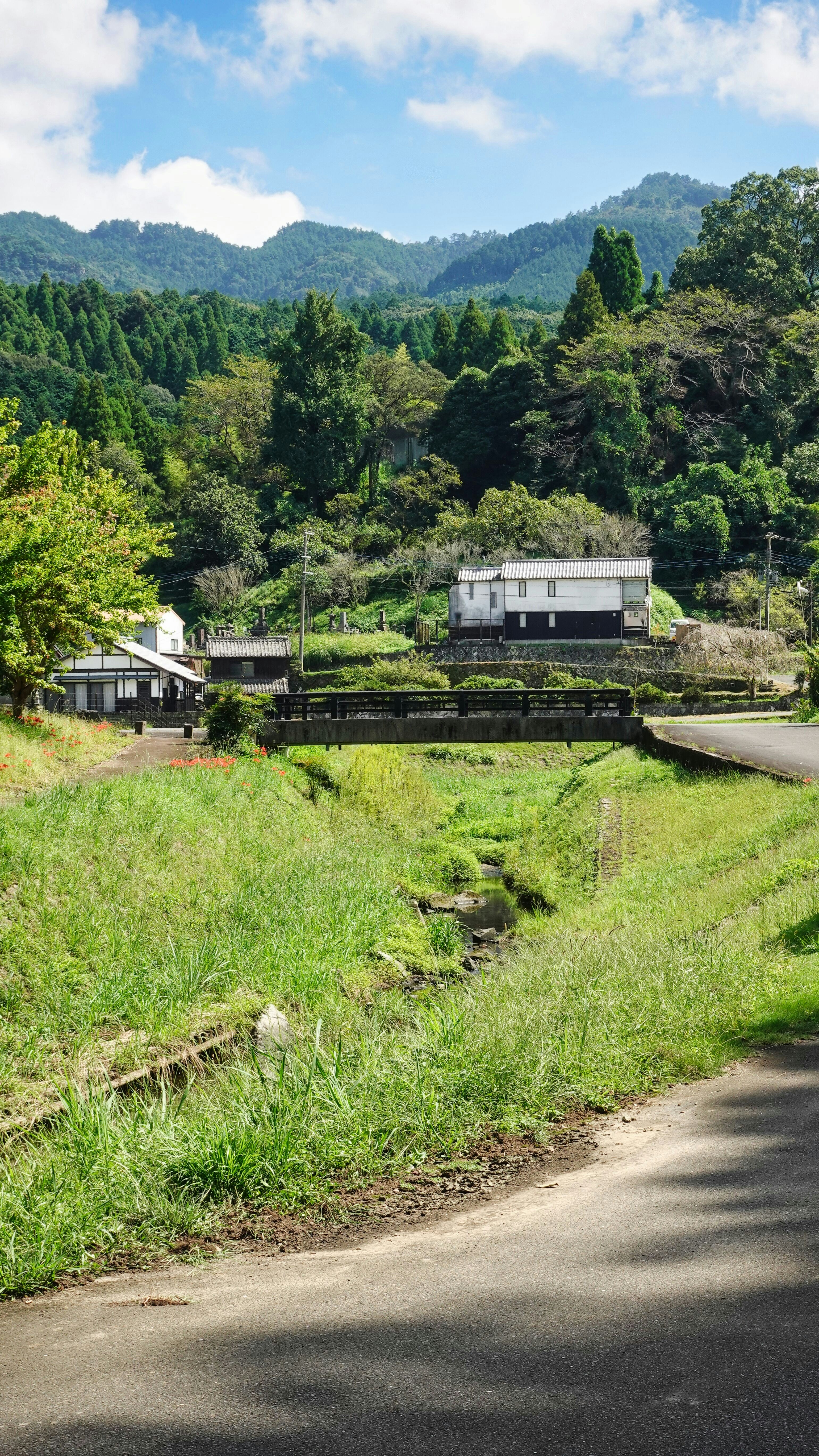 Sunlit Quiet: A Village Nestled Among Lush Hills by a Tiny Bridge