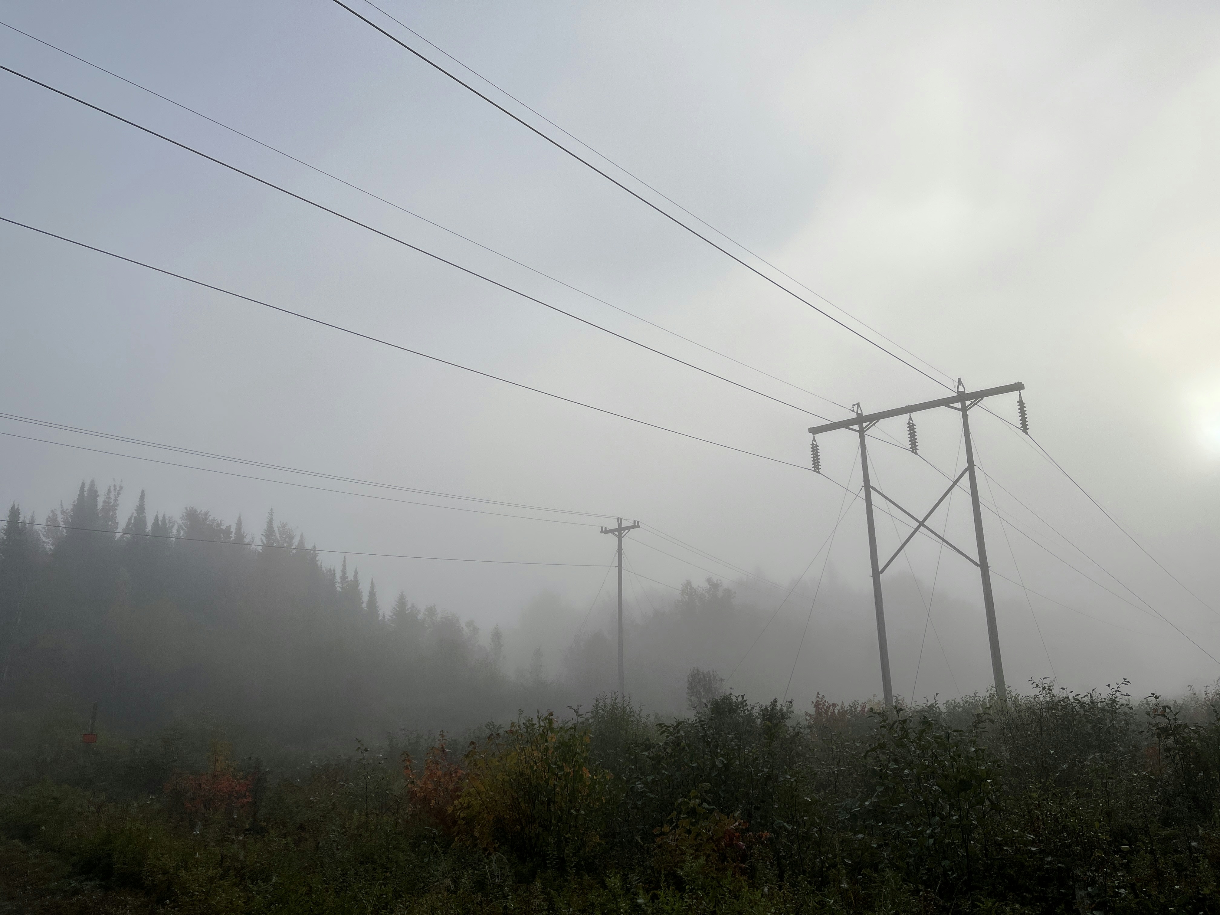 A foggy field with power lines and trees photo – Free Fog Image on Unsplash