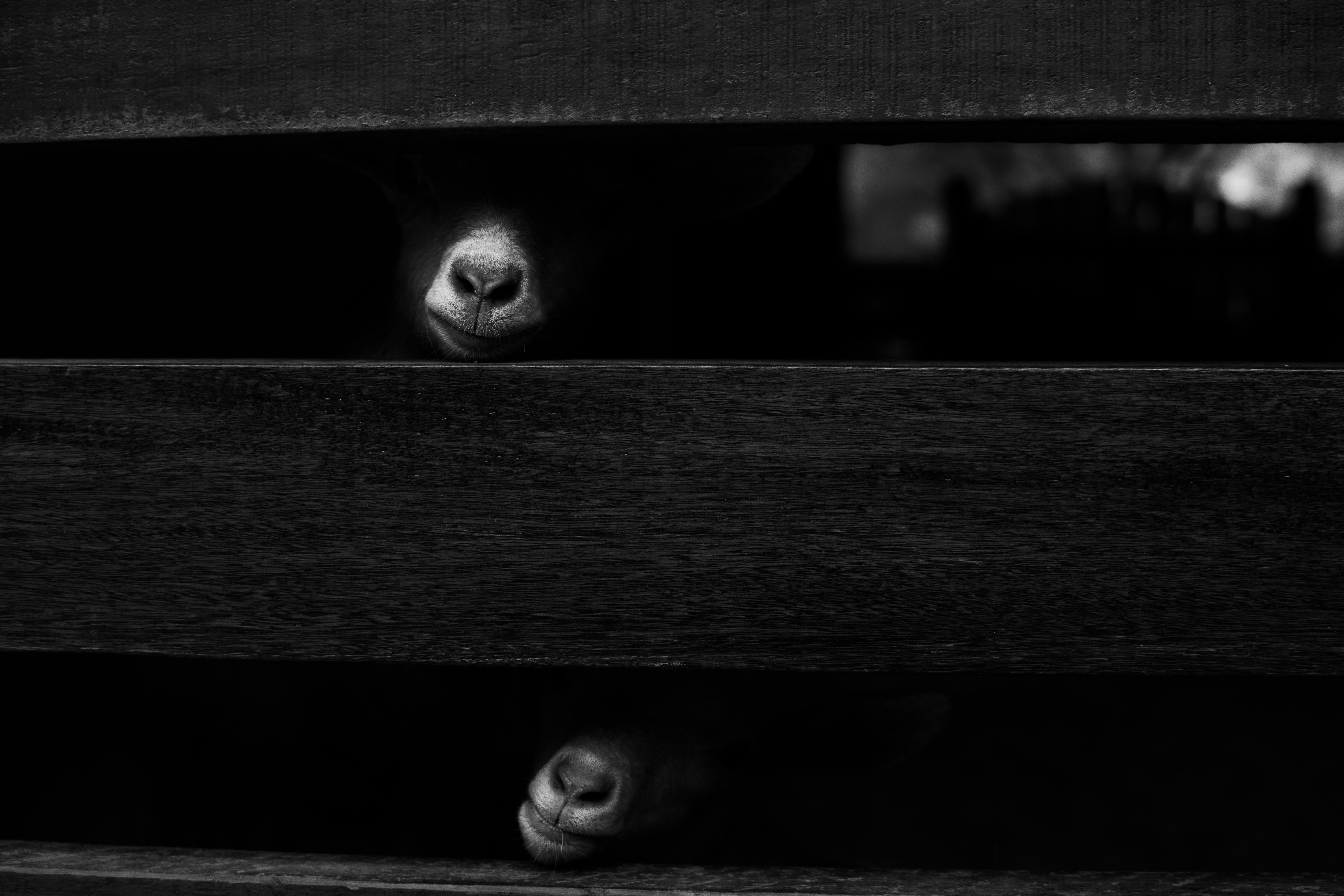 Photo by Arleth Méndez with Nikon D3400