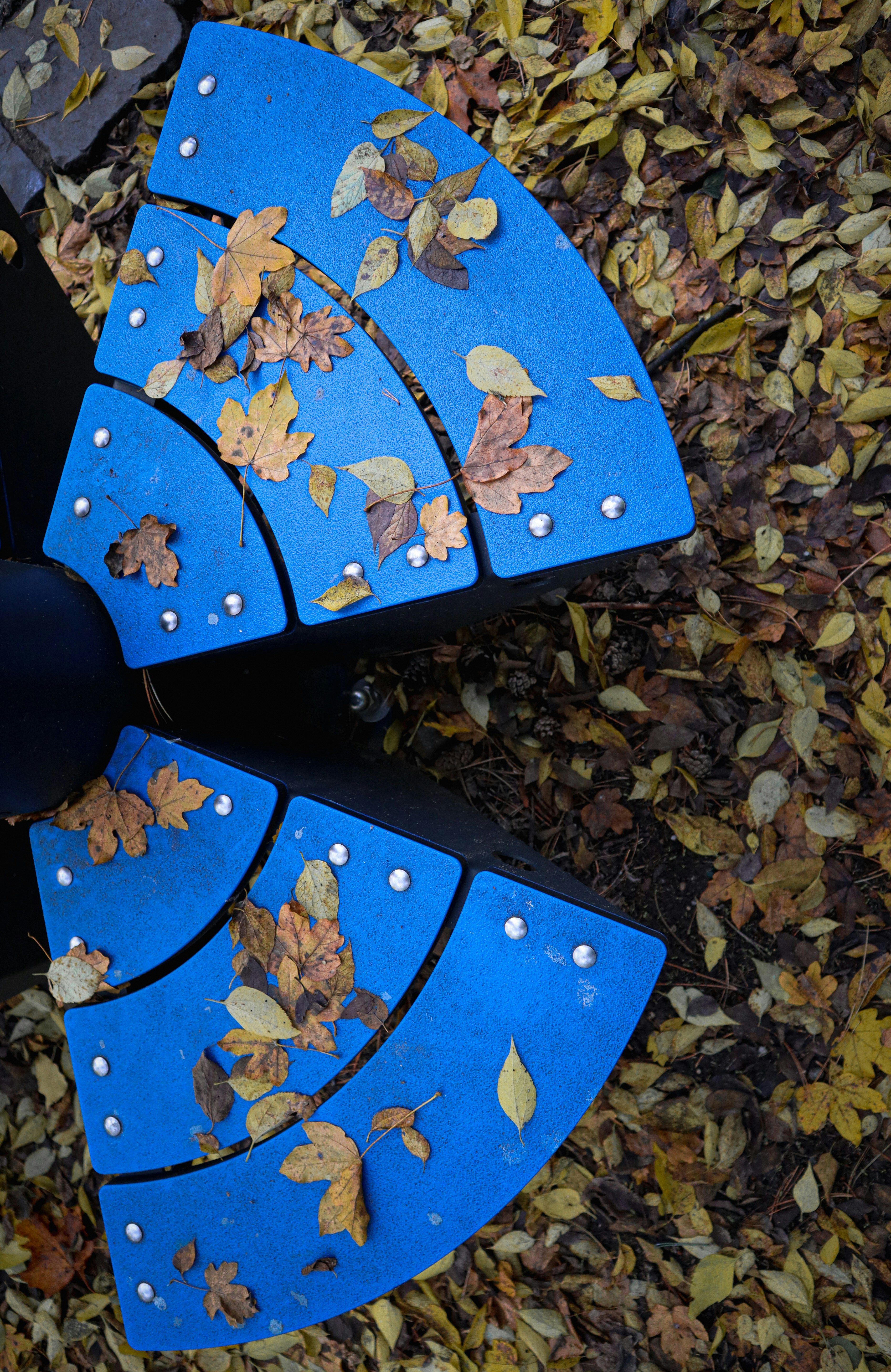 Blue Playground: Leaves, Steel, and Autumn Grounding