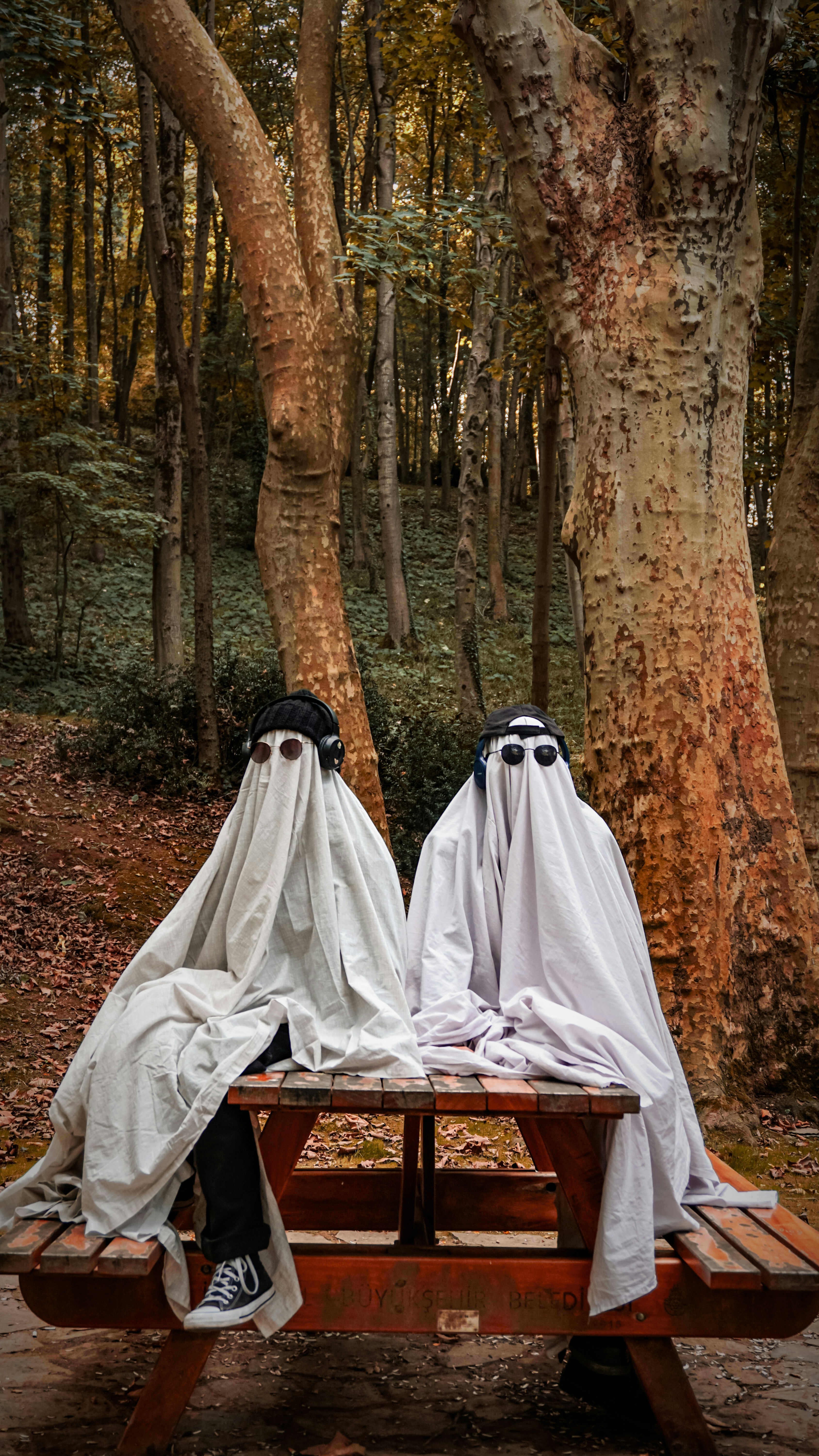 Silent Duo on a Grooved Bench: Ghostly Garments in the Woods