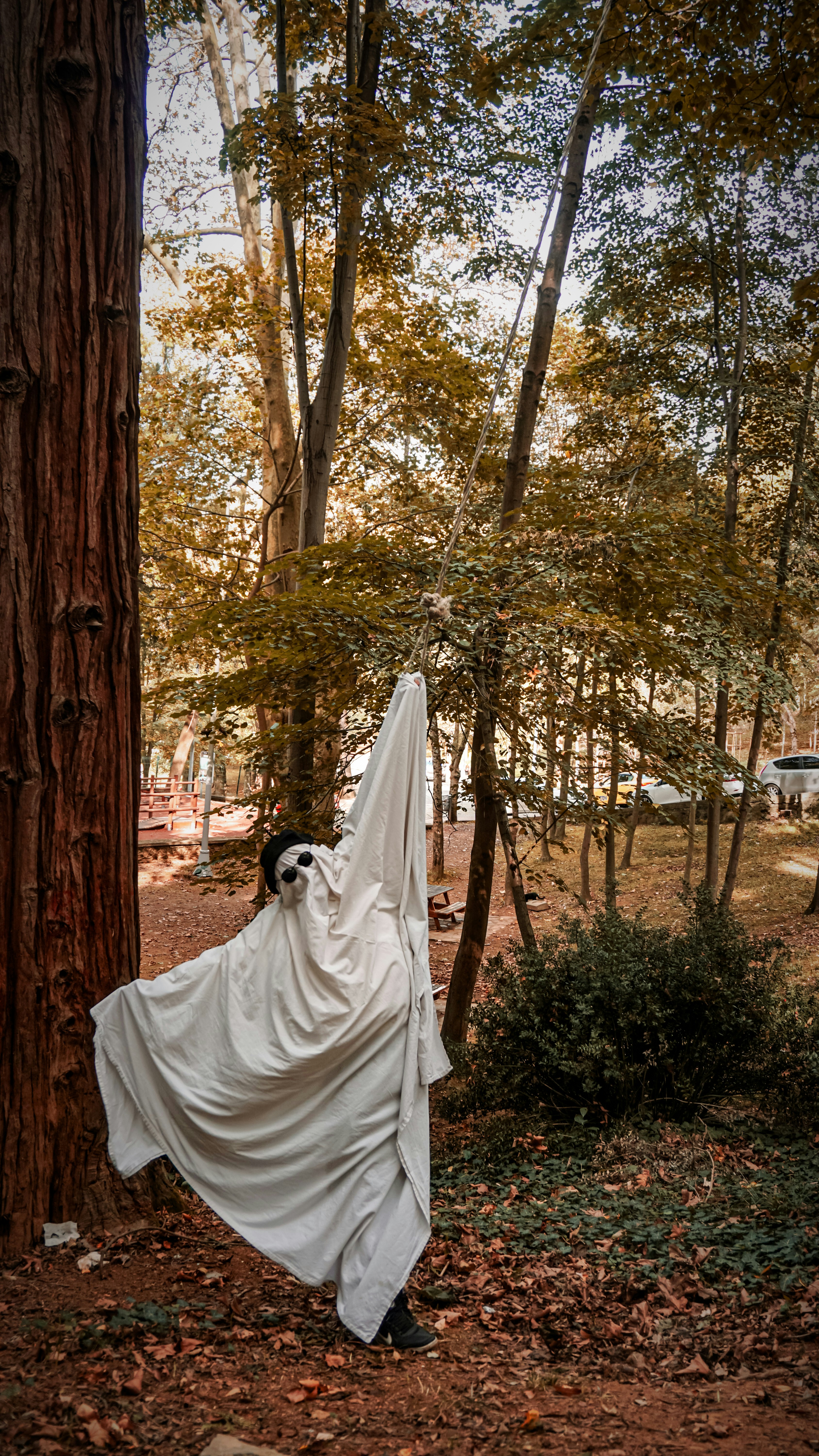 Ghost in the Grove: A White-Sheet Figure Among Autumn Pines