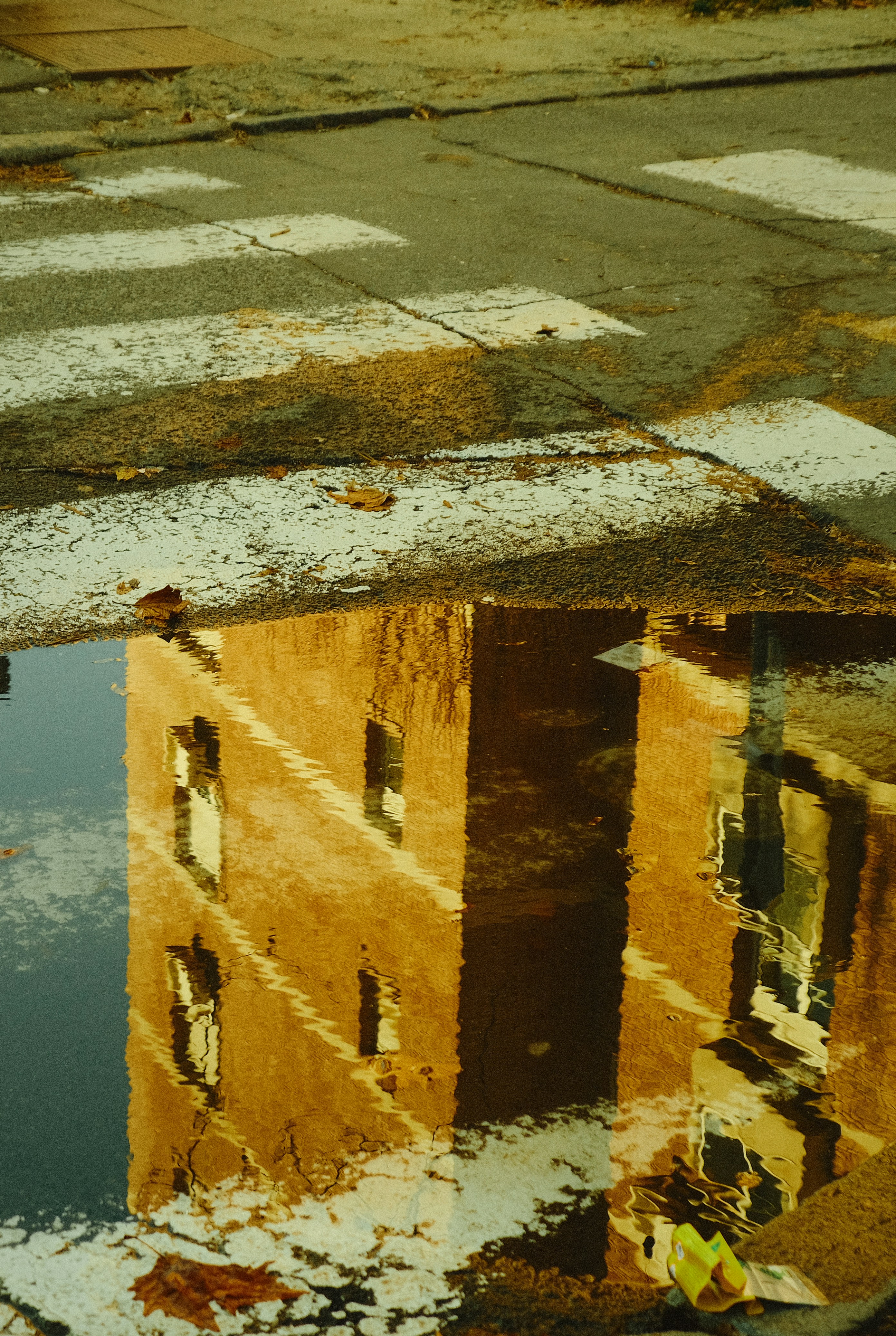 Reflected Brick Facade: A Puddle's Quiet Street Portrait