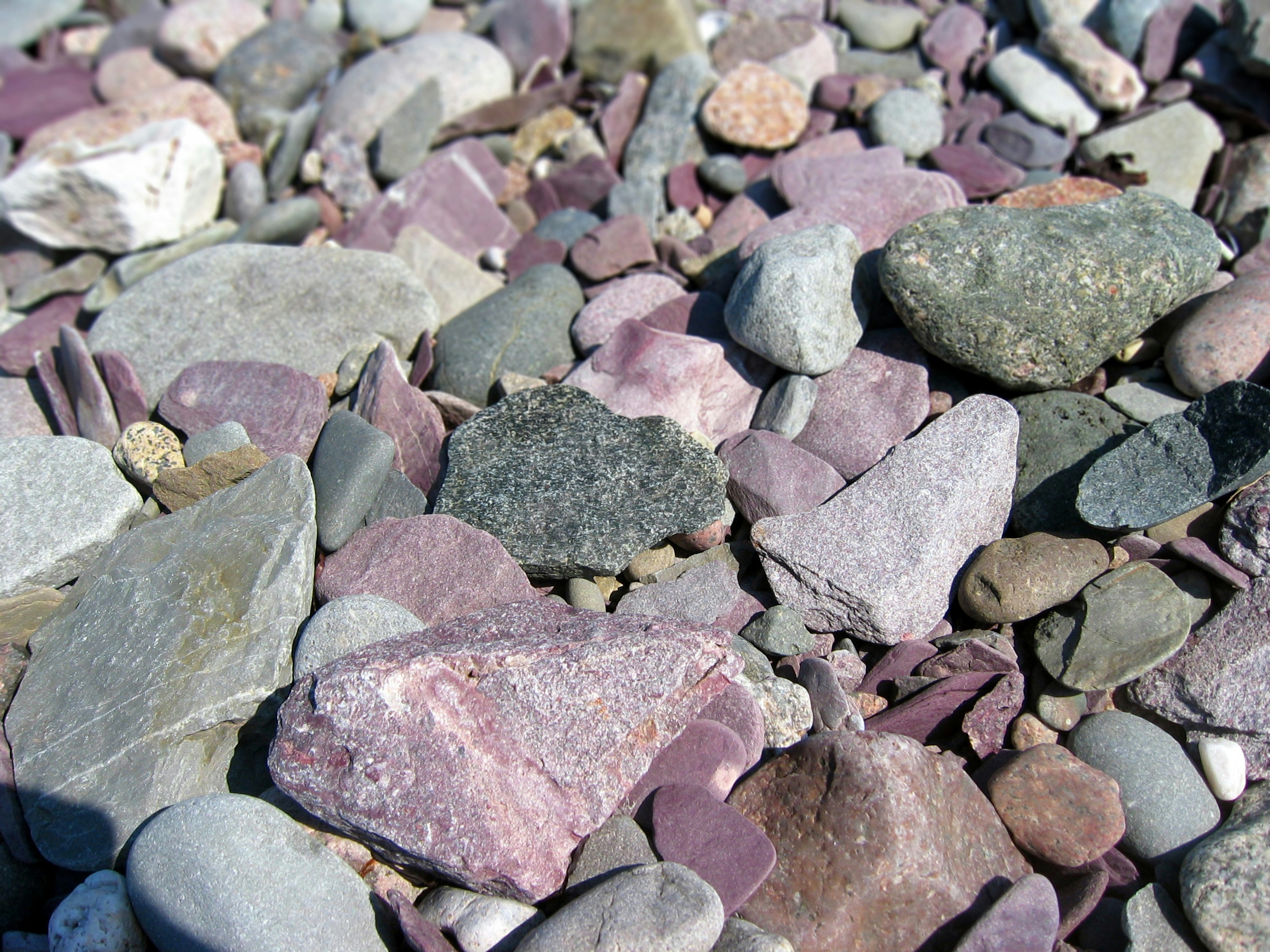 Close-up of lilac, gray, and sage pebbles on a sunlit shore, highlighting varied textures and color.