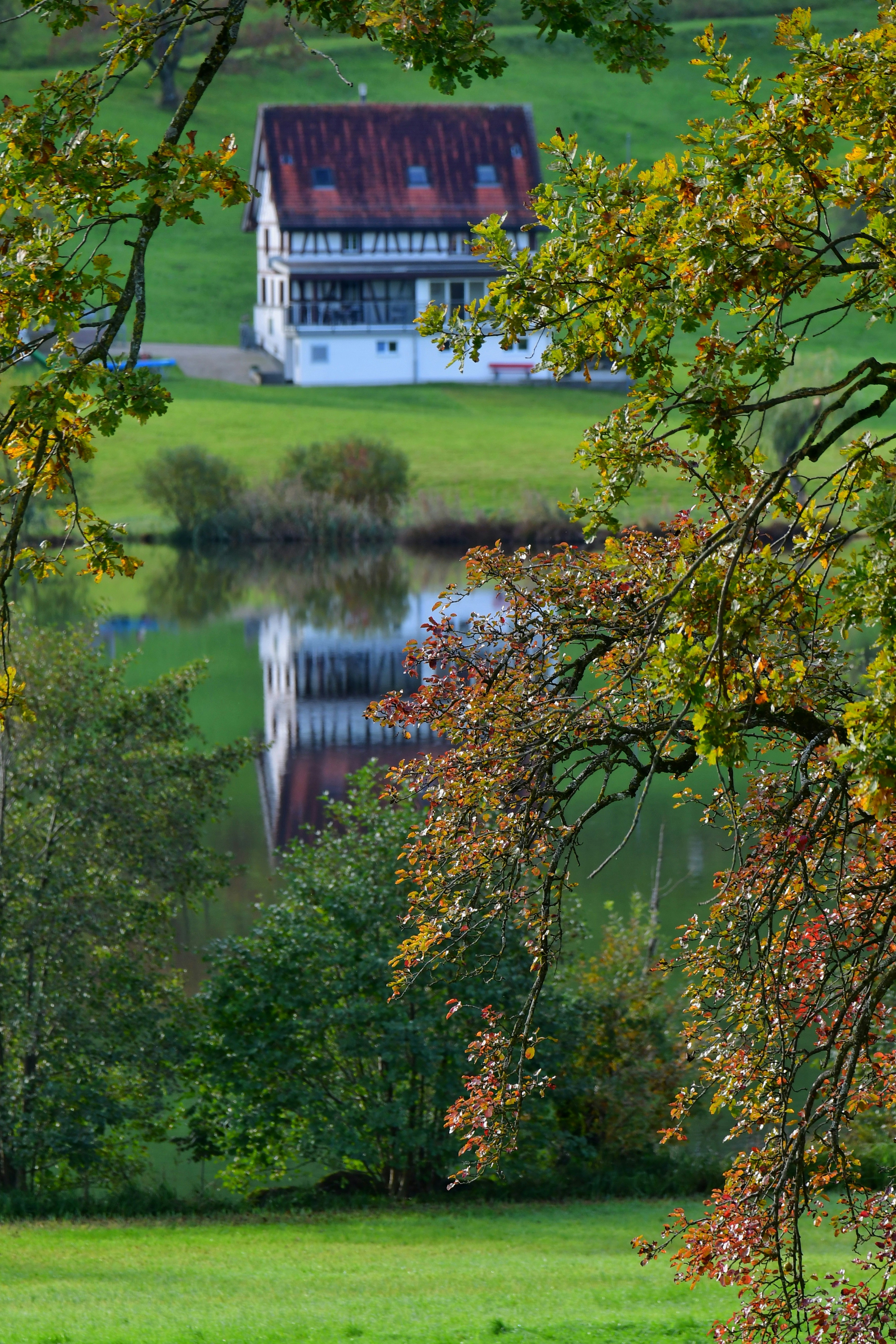 Leaf-arched Frame: A Lakeside Lodge Mirrored in Still Water