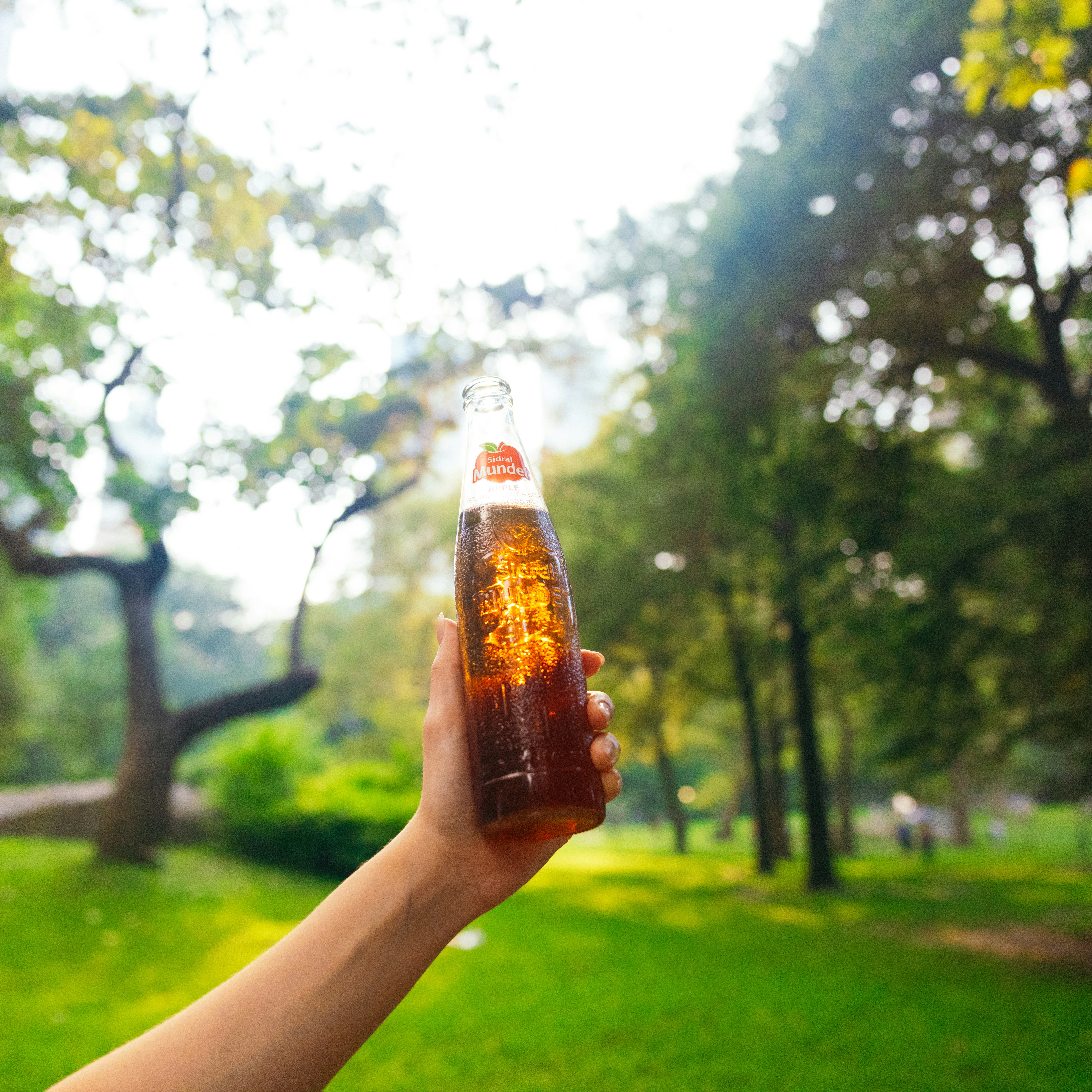 Amber Pulse in the Park: A Hand-Held Bottle Framed by Dappled Sunlight