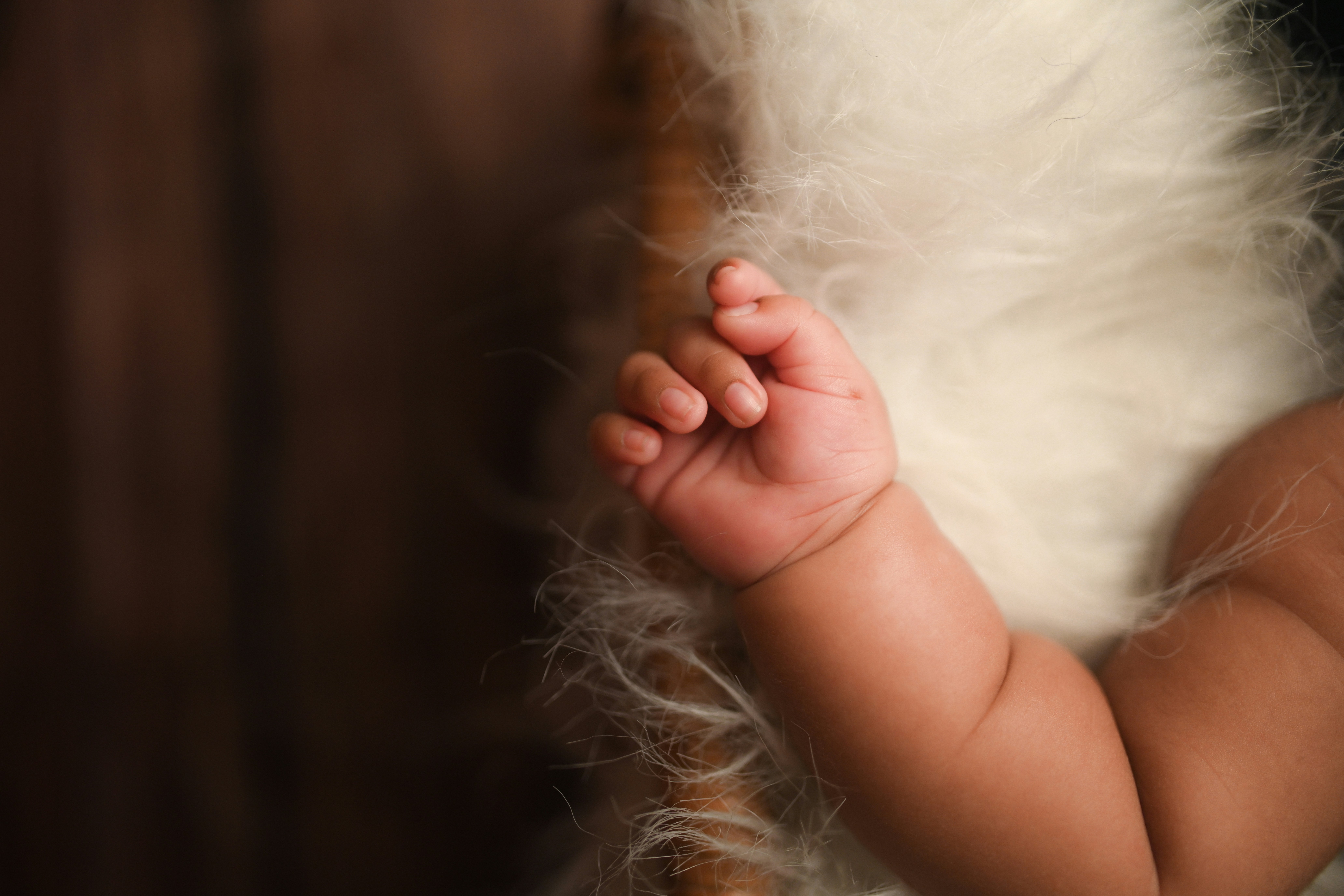 Soft Whisper of Fur: A Baby’s Arm Emerges from Fluffy Cloud