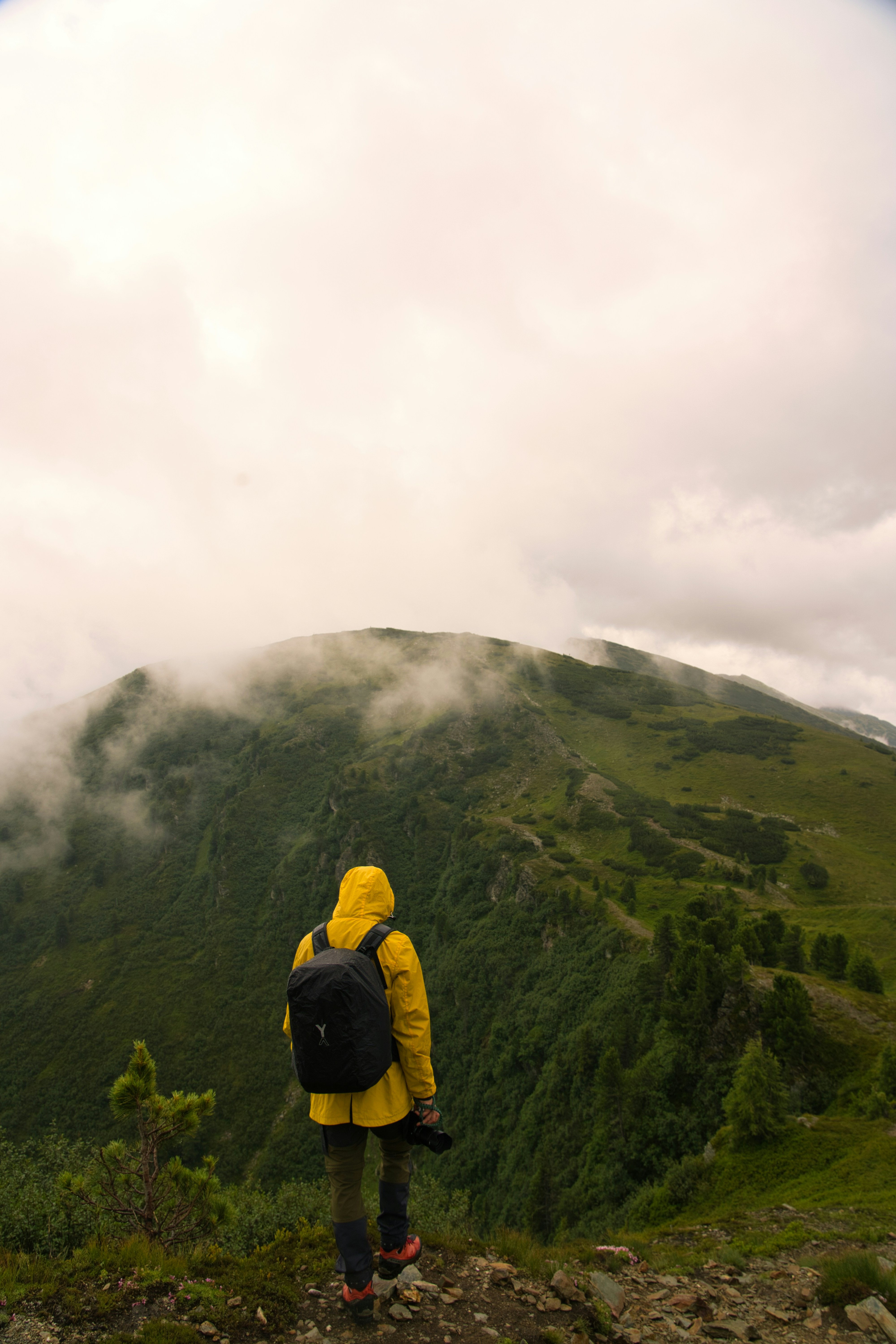 A person with a backpack standing on top of a hill photo – Free Green ...