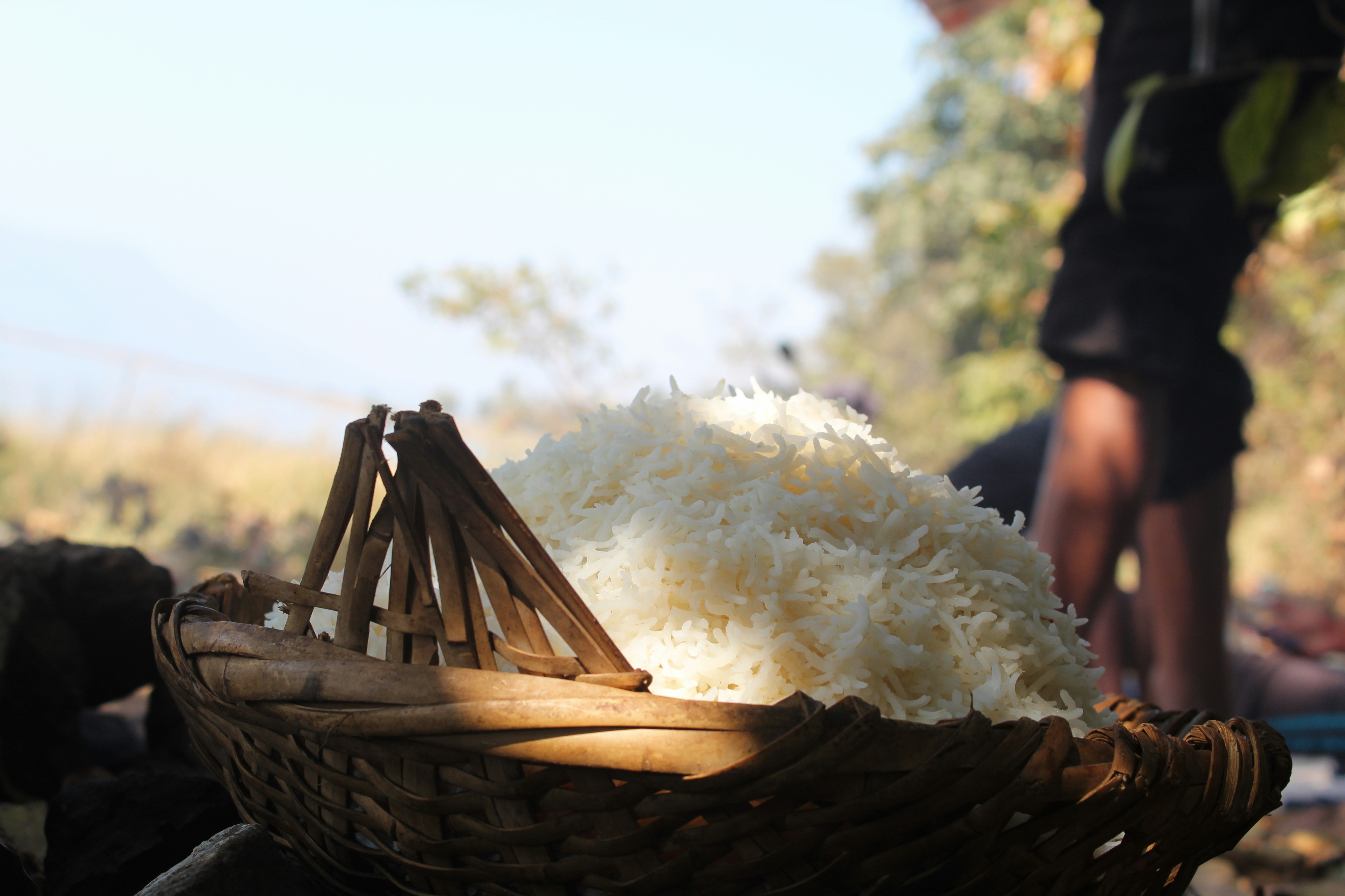 Sunlit Harvest in a Rustic Basket