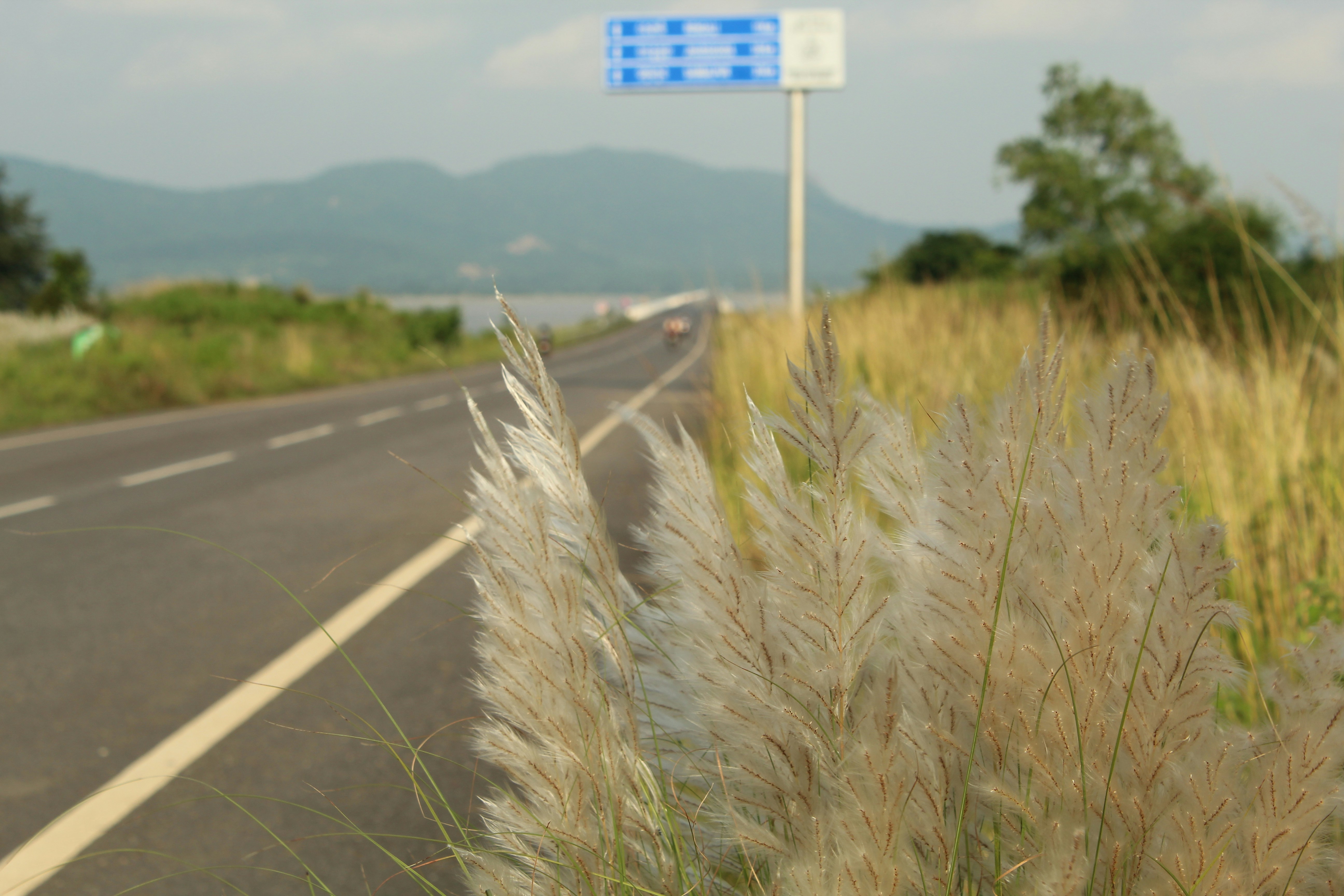 Photo by RAJAT KUMAR SINGH with Canon EOS 1300D