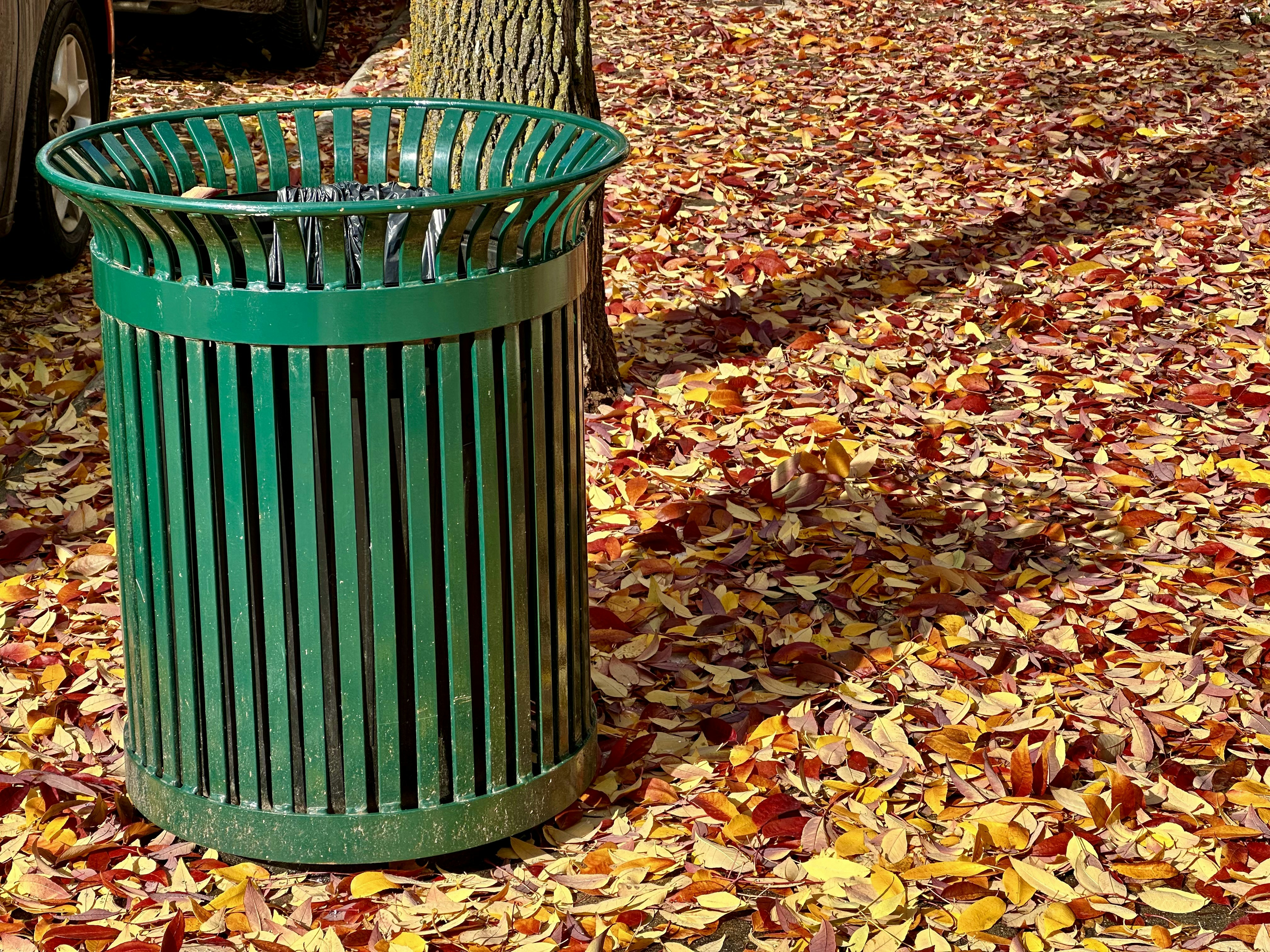 Trash Can Pictures | Download Free Images on Unsplash