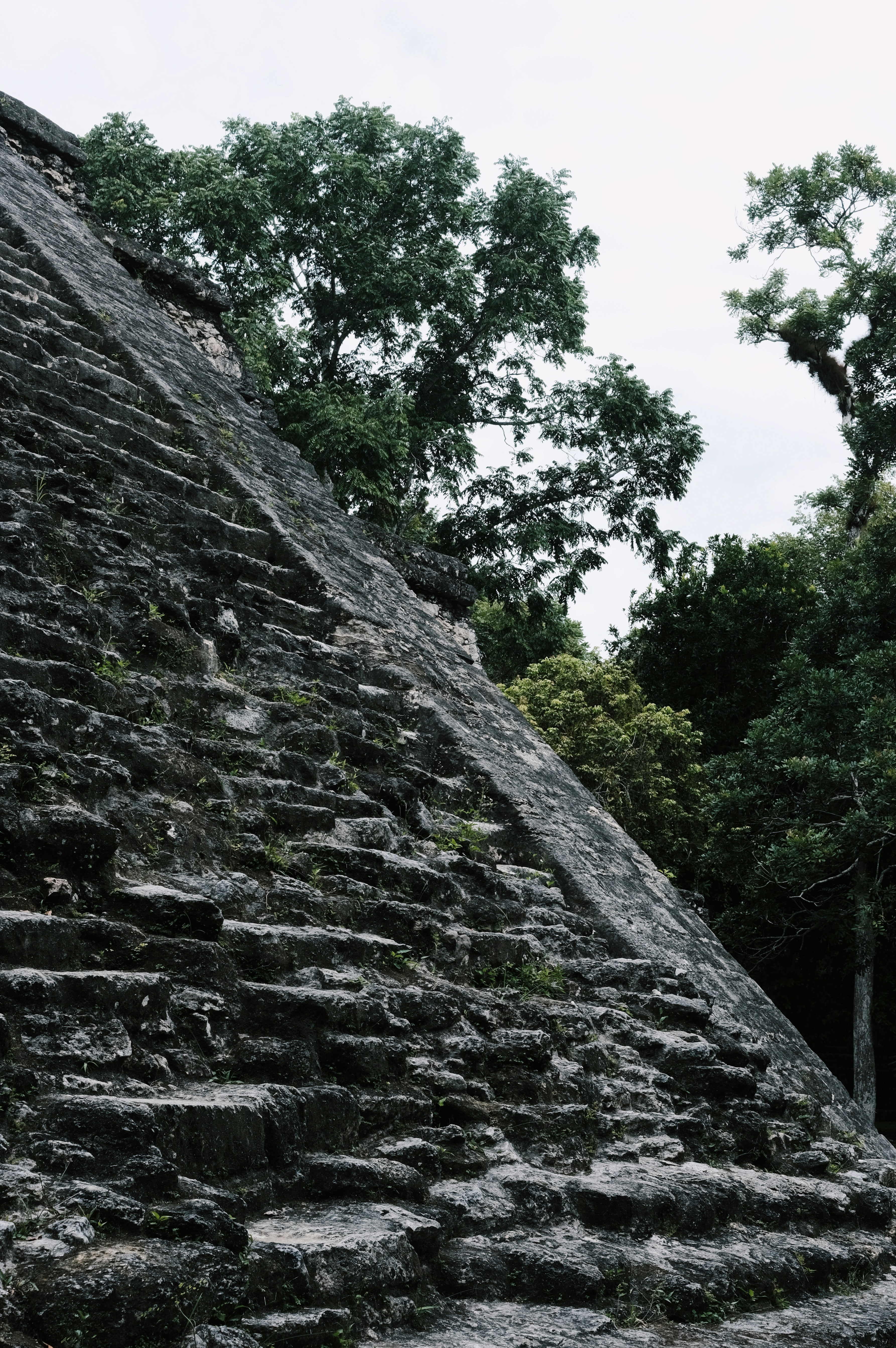 Photo by Falco Negenman with Fujifilm X-E3