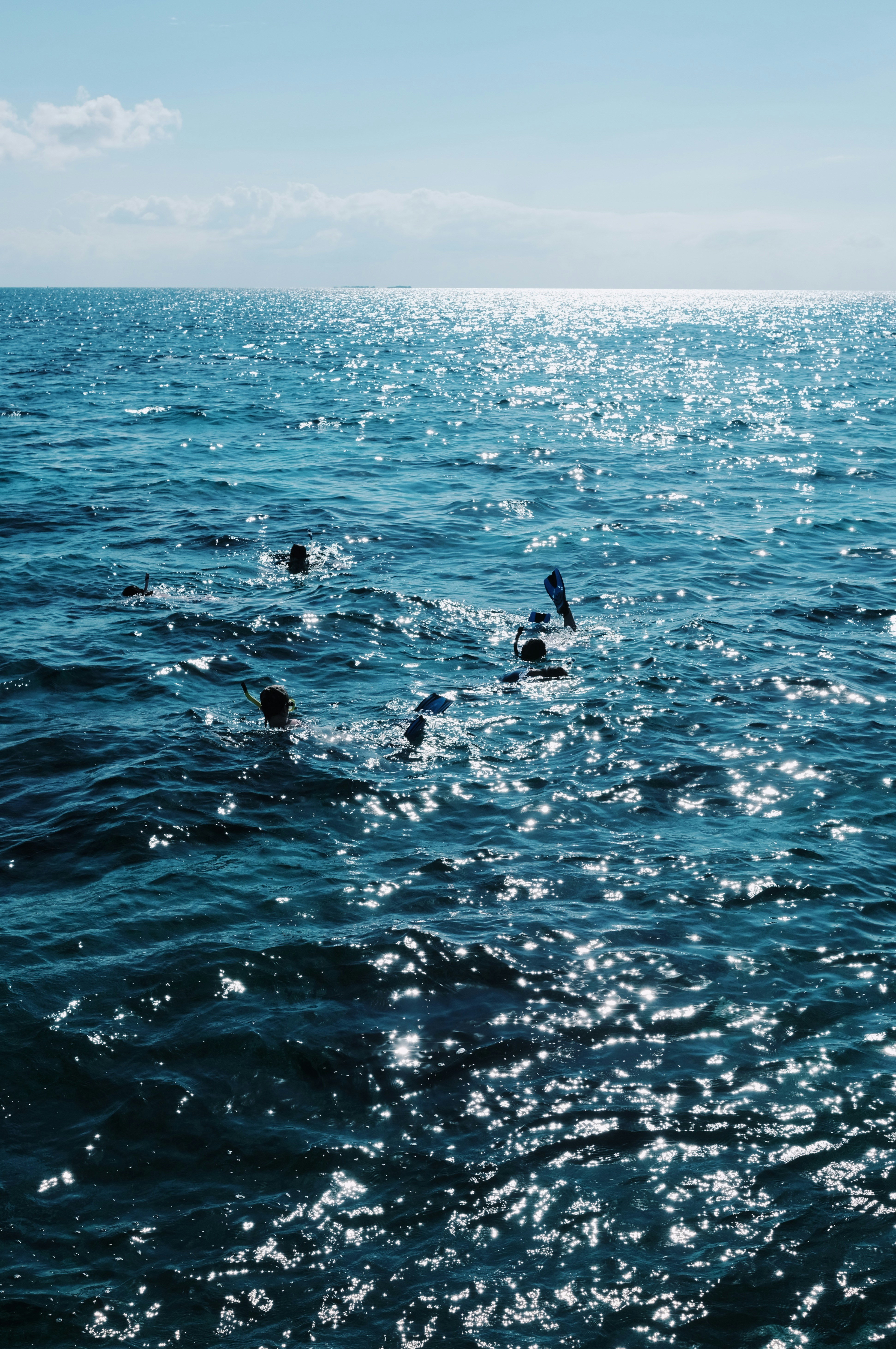A group of people swimming in the ocean photo – Free Caye caulker Image ...