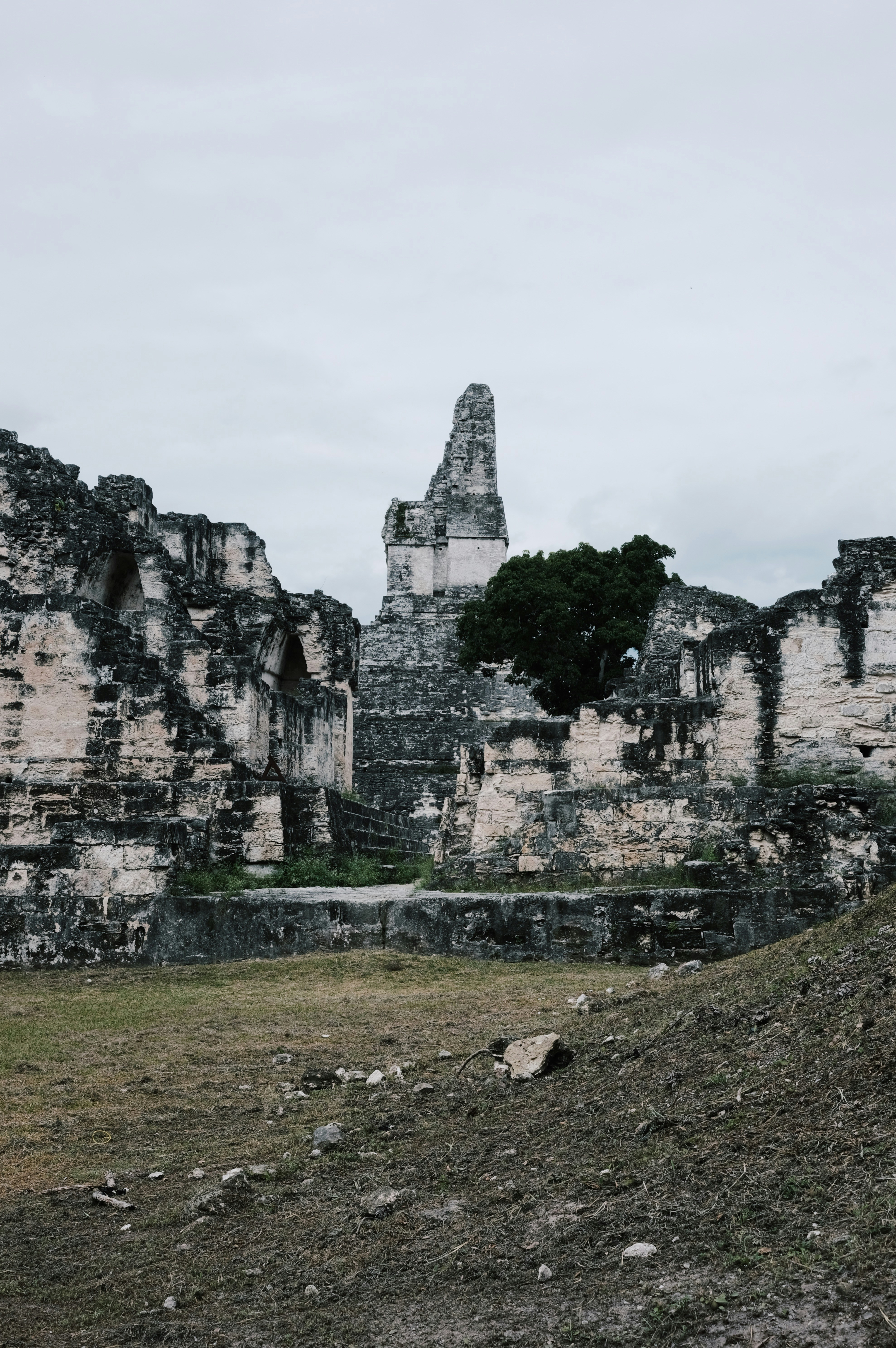 The ruins of the ancient city of palen photo – Free Tikal Image on Unsplash