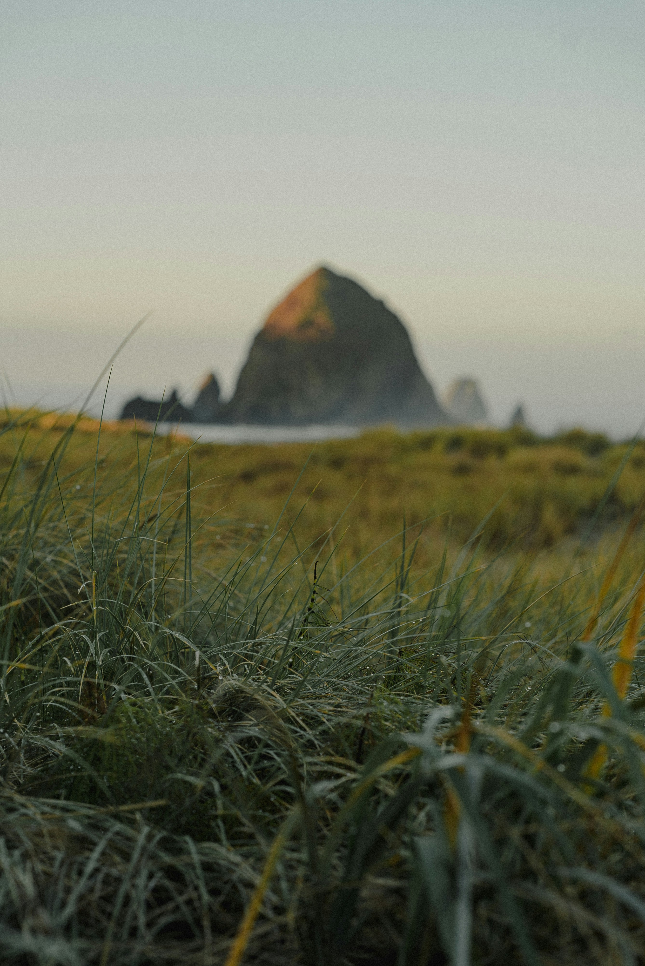 Dawn Over a Sea Stack: Grass-Crowned Coastline