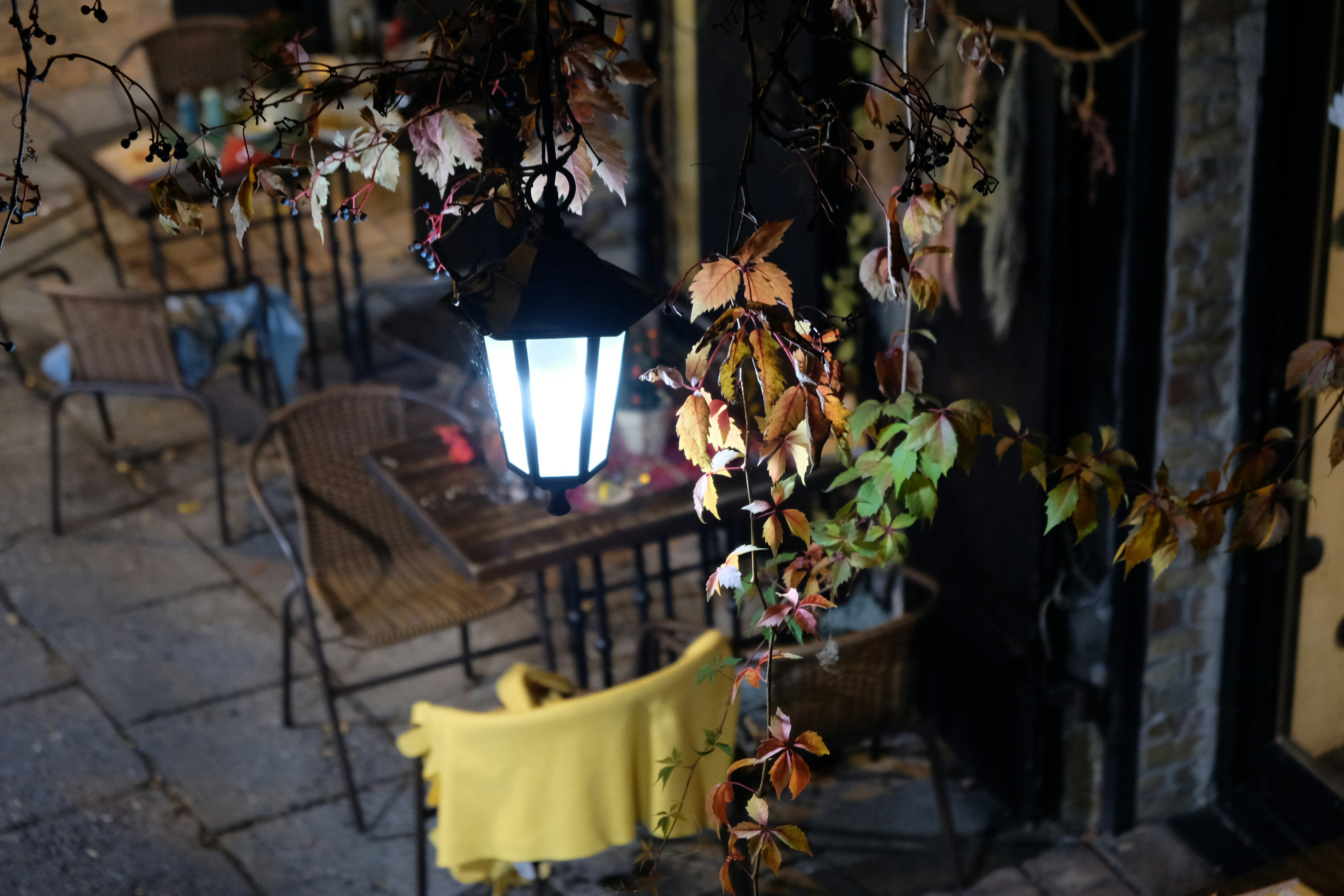 Lantern Glow Among Autumn Vines in a Quiet Outdoor Café