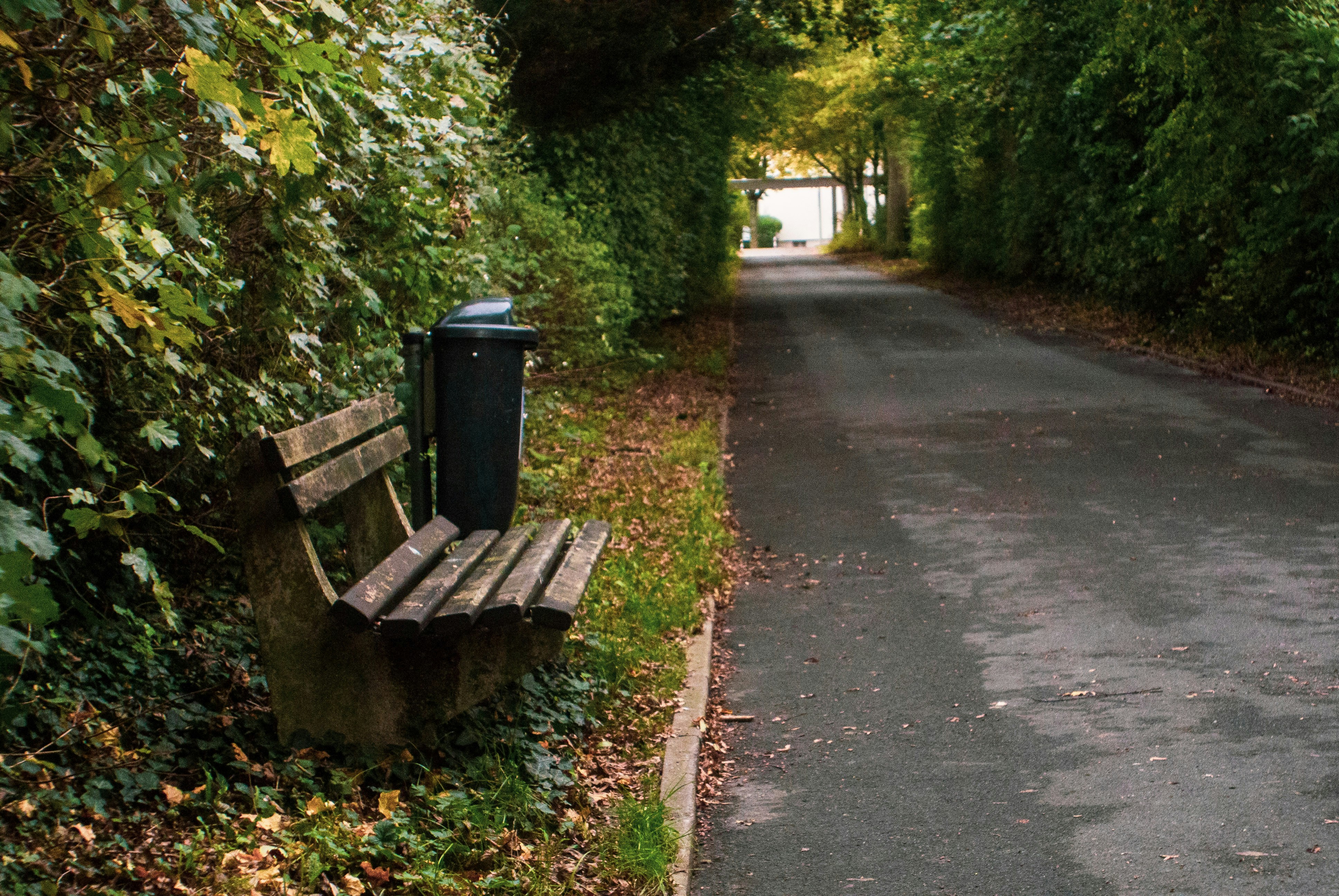 Photo by Tom Ru with Nikon 1 J1