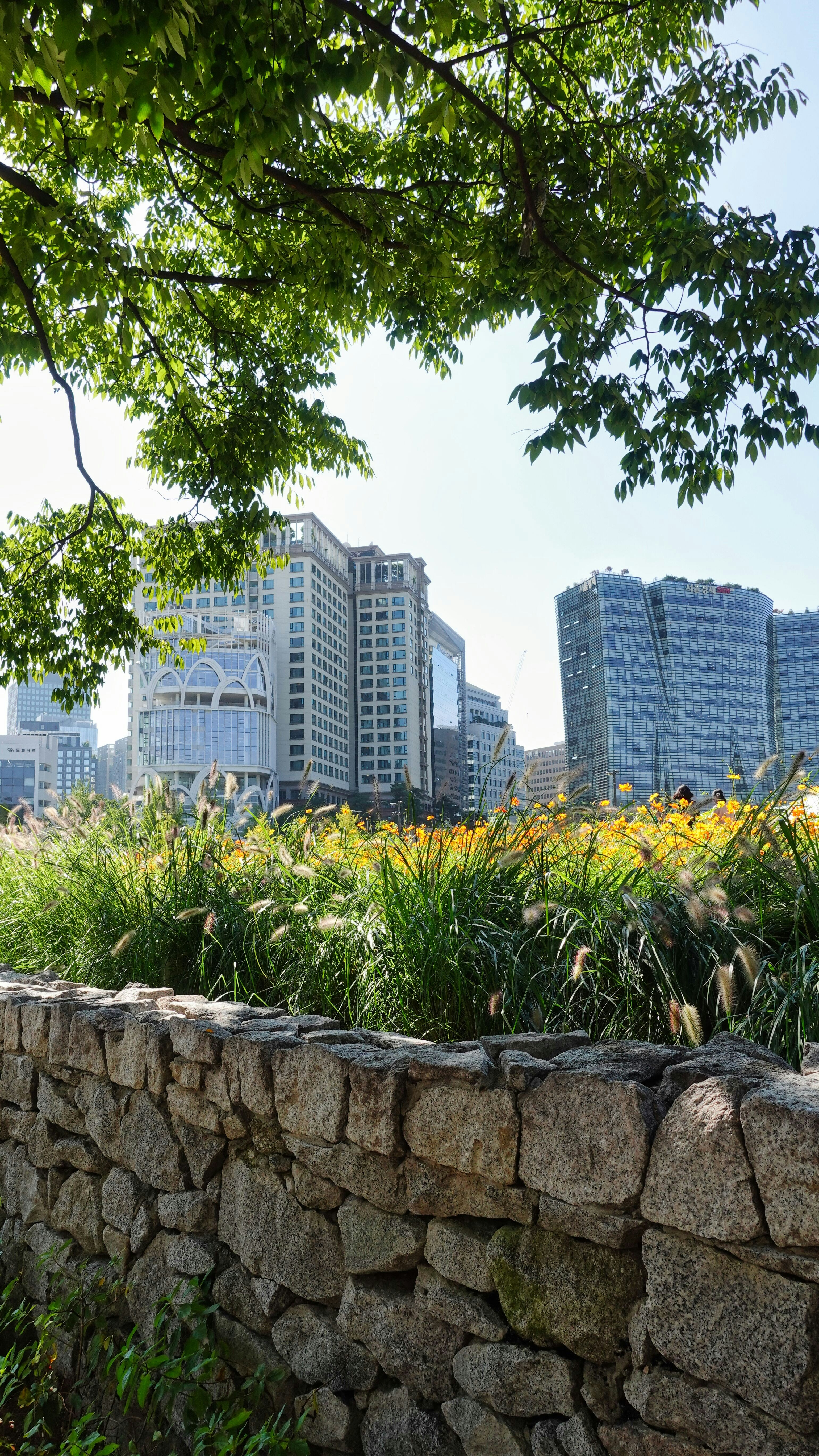 Stone Wall Framing a Verdant Verge Against a Modern City Skyline