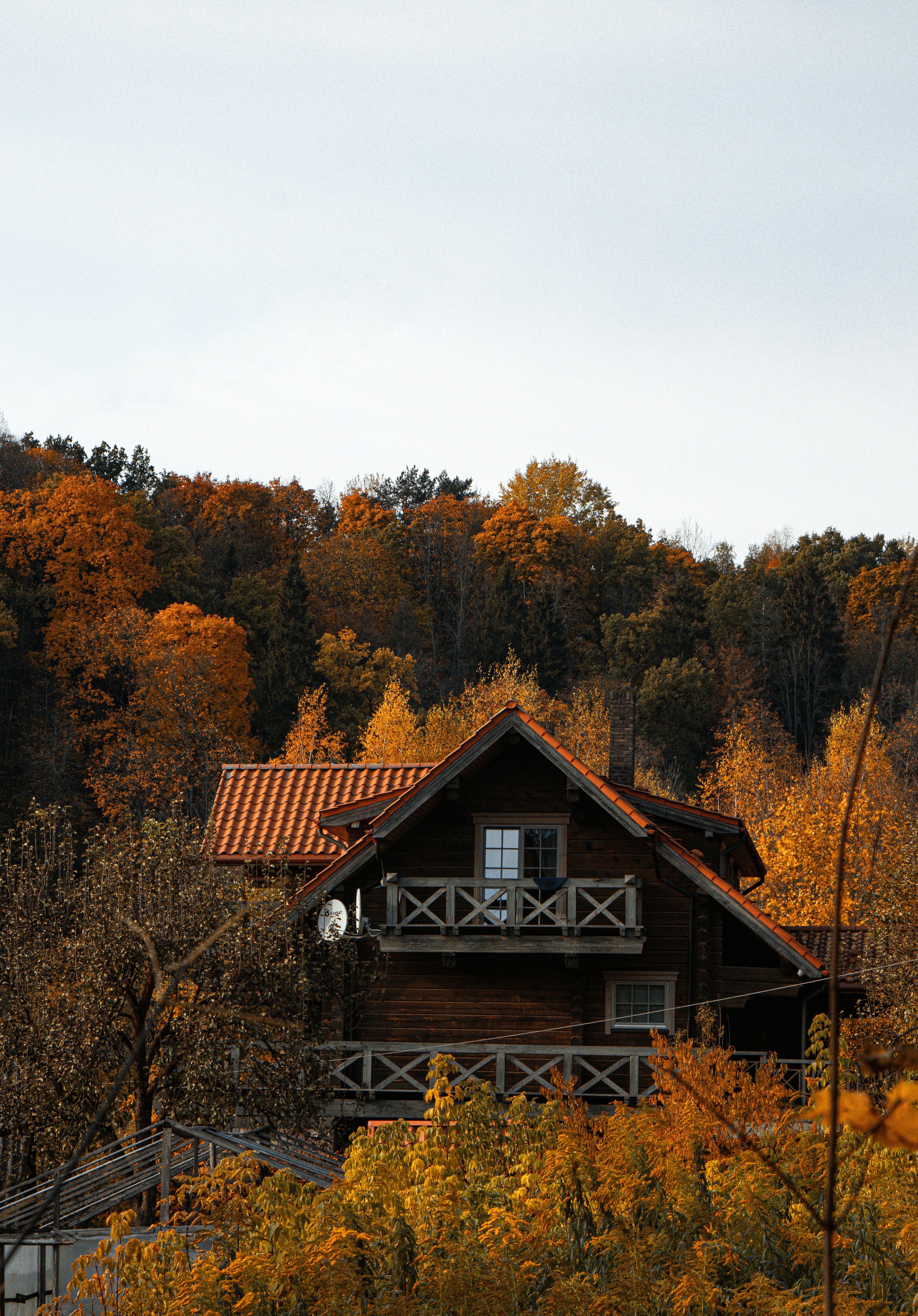 Charming wooden cabin nestled among vibrant autumn foliage, showcasing warm hues of orange and yellow.