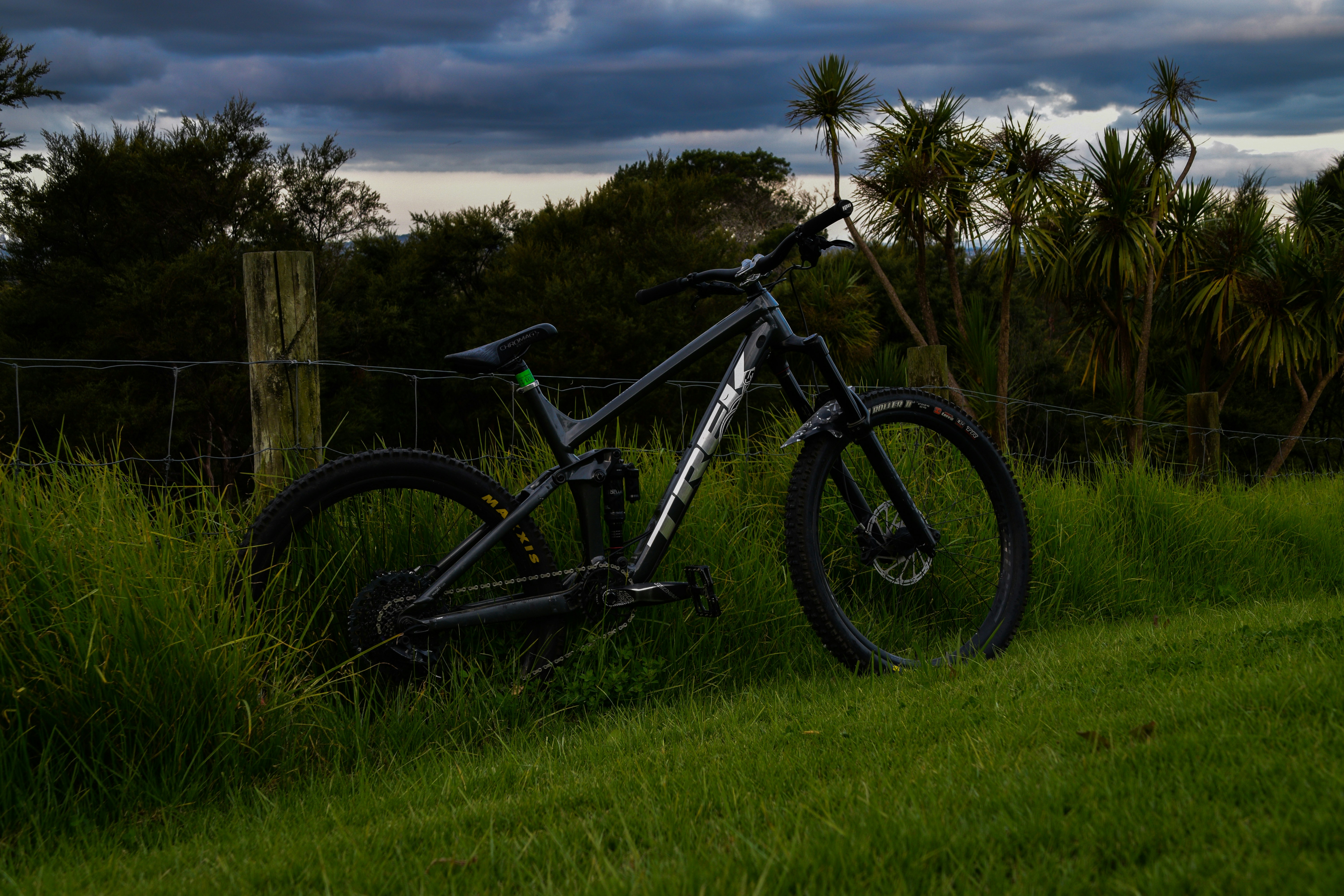 Trailblazer's Rest: A Mountain Bike in Nature's Embrace