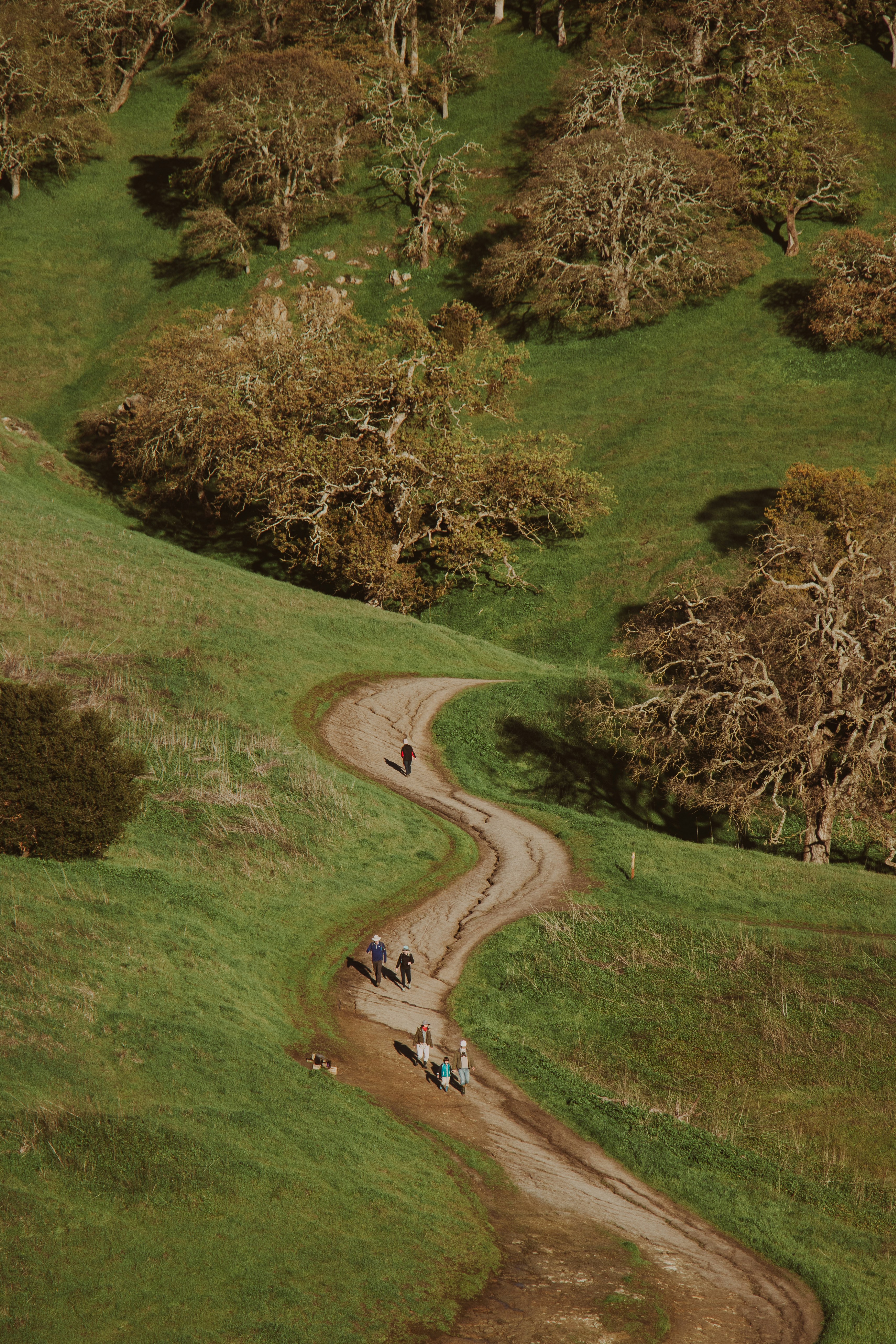 Serpentine Trail Through Sunlit Hills