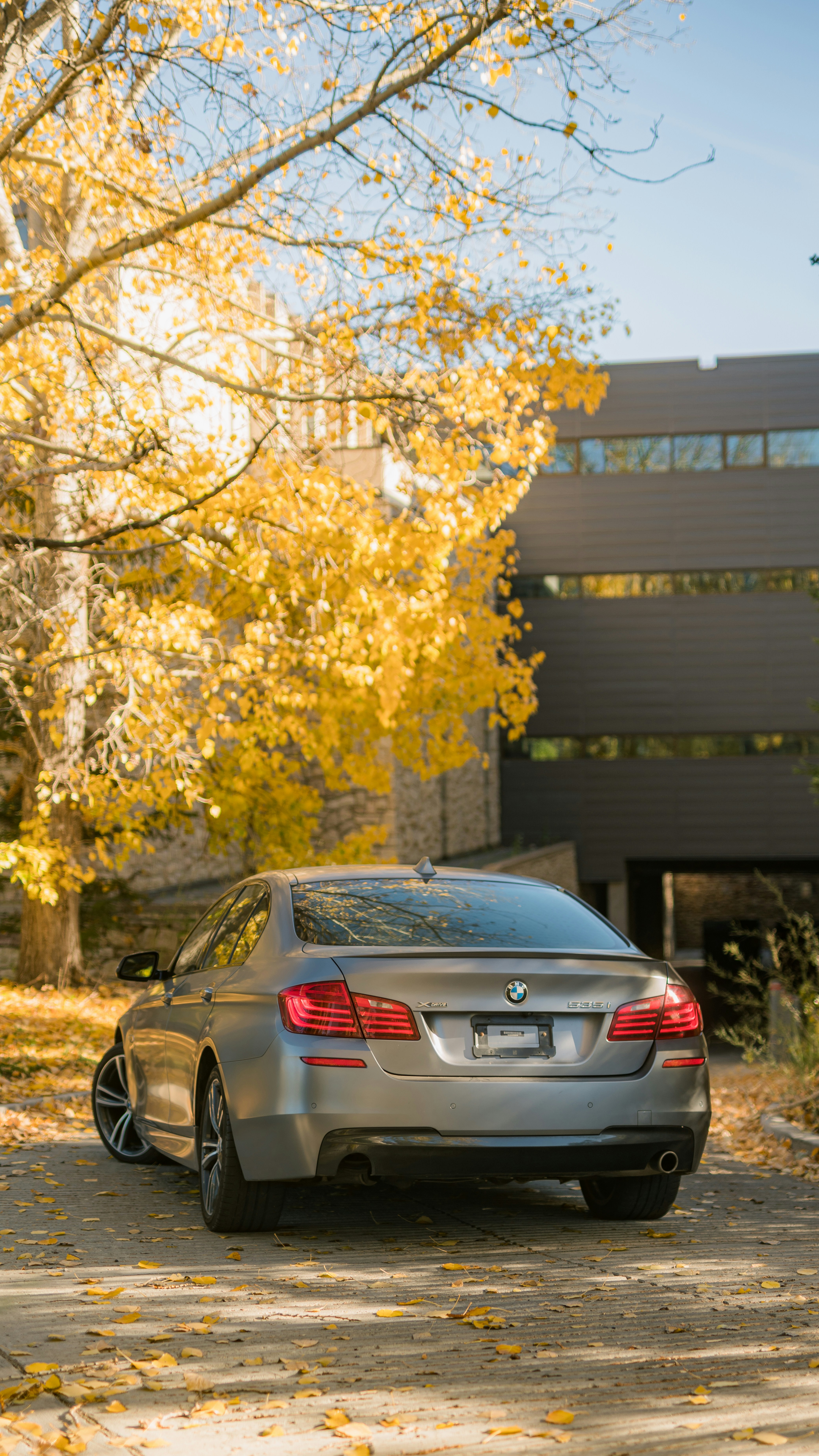 Bmw Landscape Pictures | Download Free Images on Unsplash