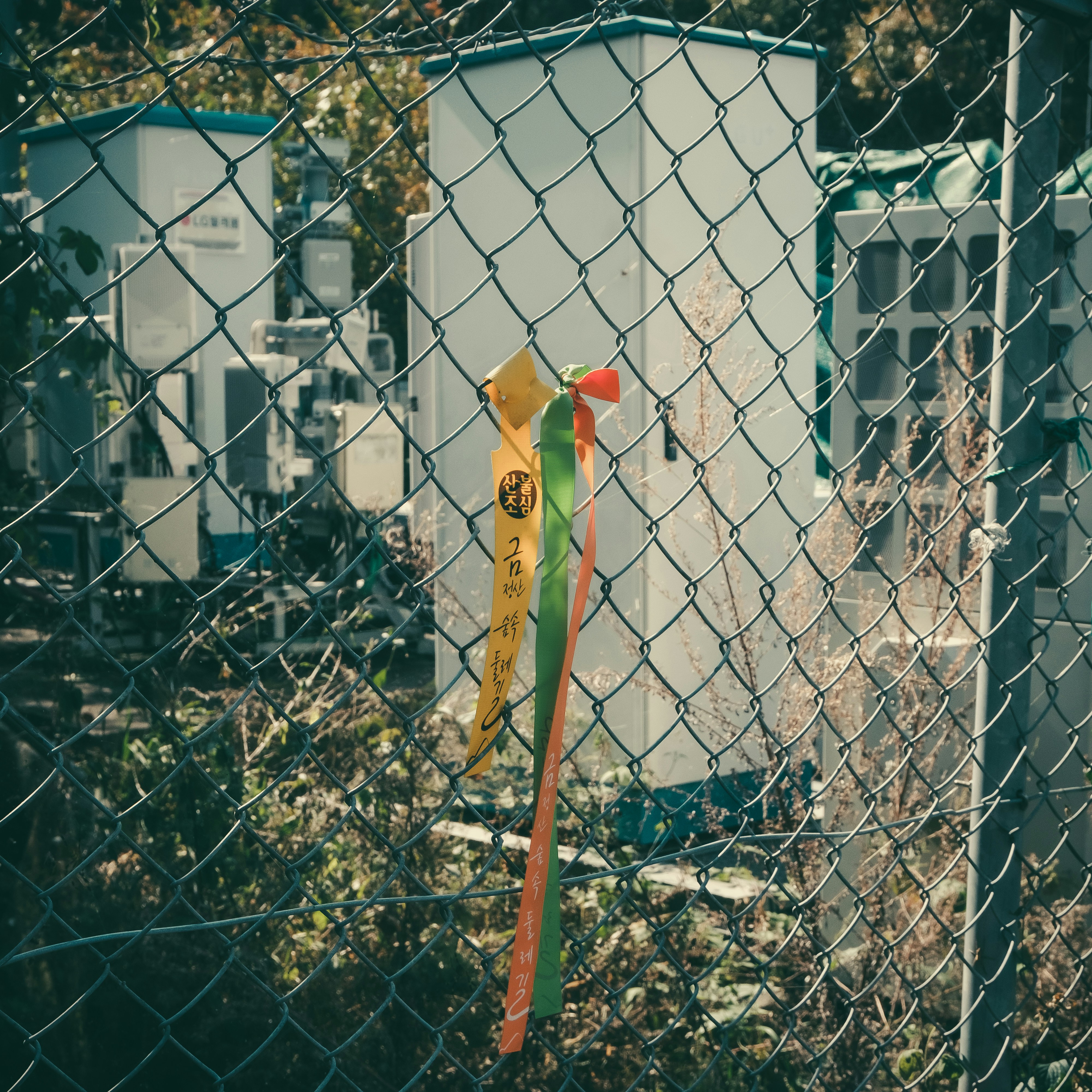 A pair of scissors stuck in a chain link fence photo – Free Busan Image ...