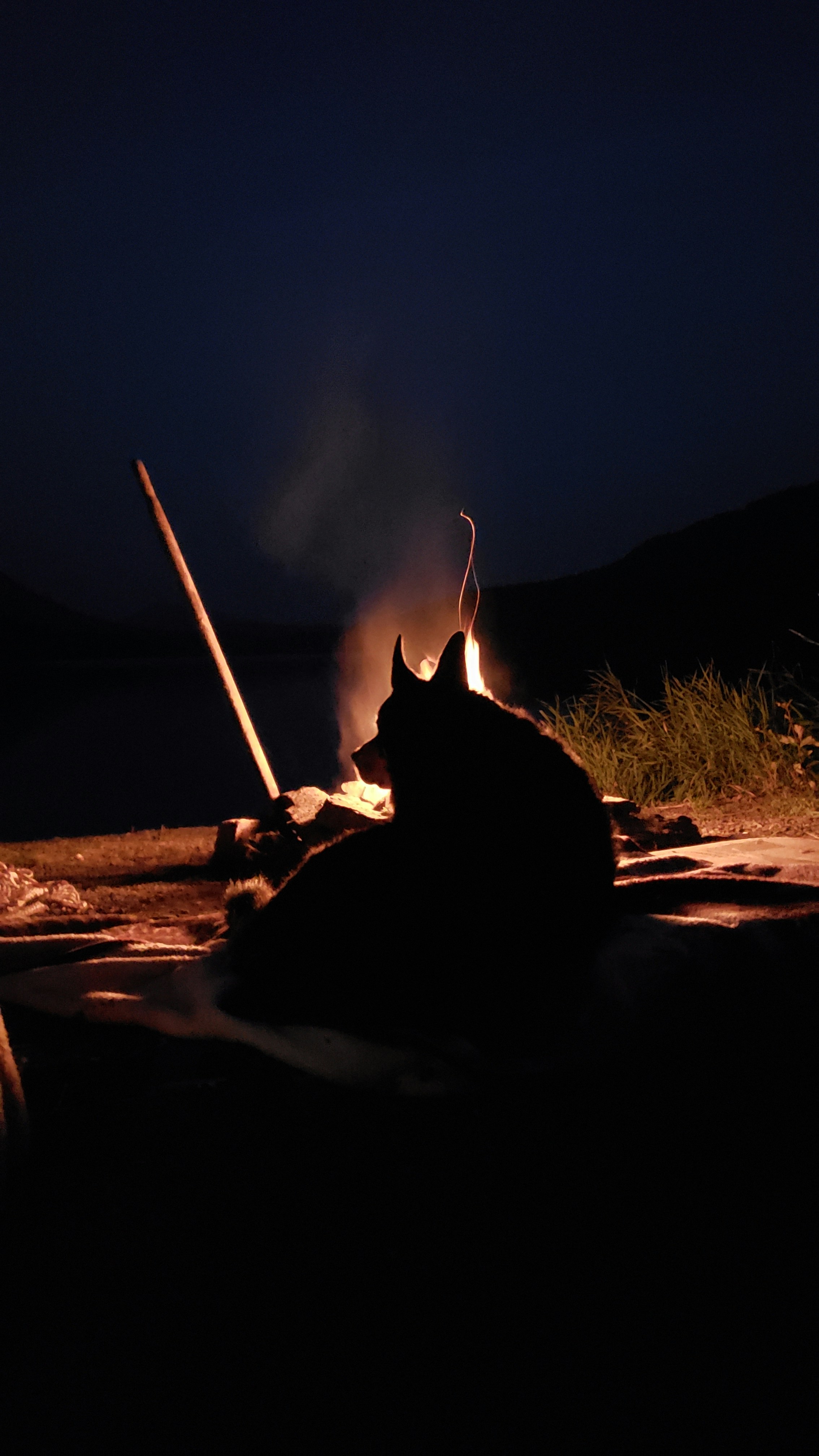 Midnight Campfire: A Quiet Silhouette by the Ember