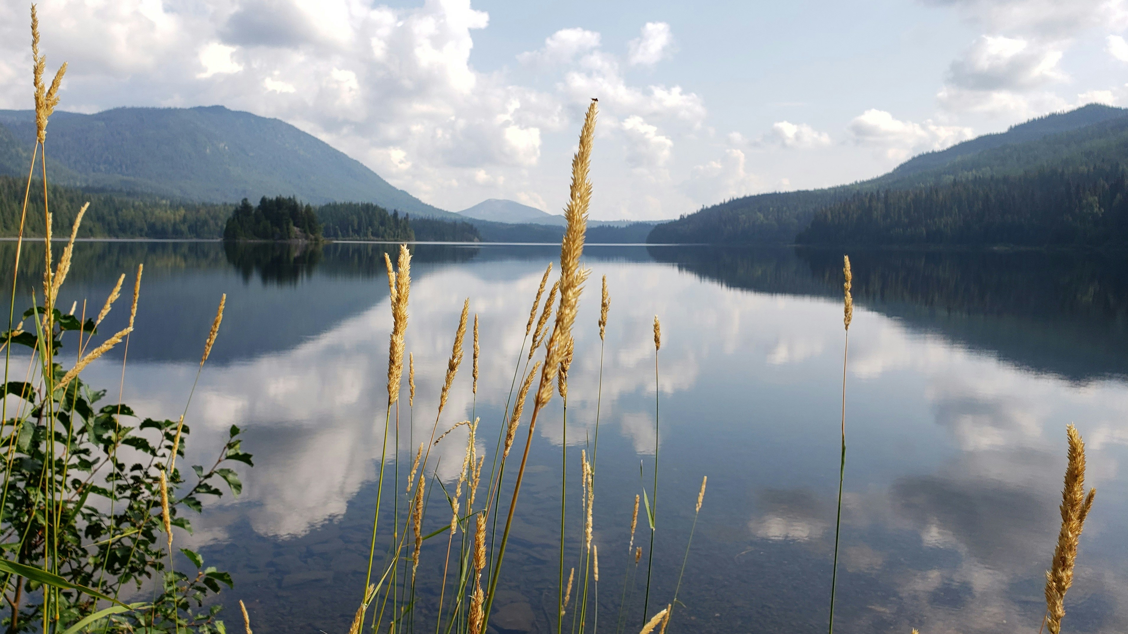 Dean Knuttila (@fishknutt) | Communauté photos Unsplash