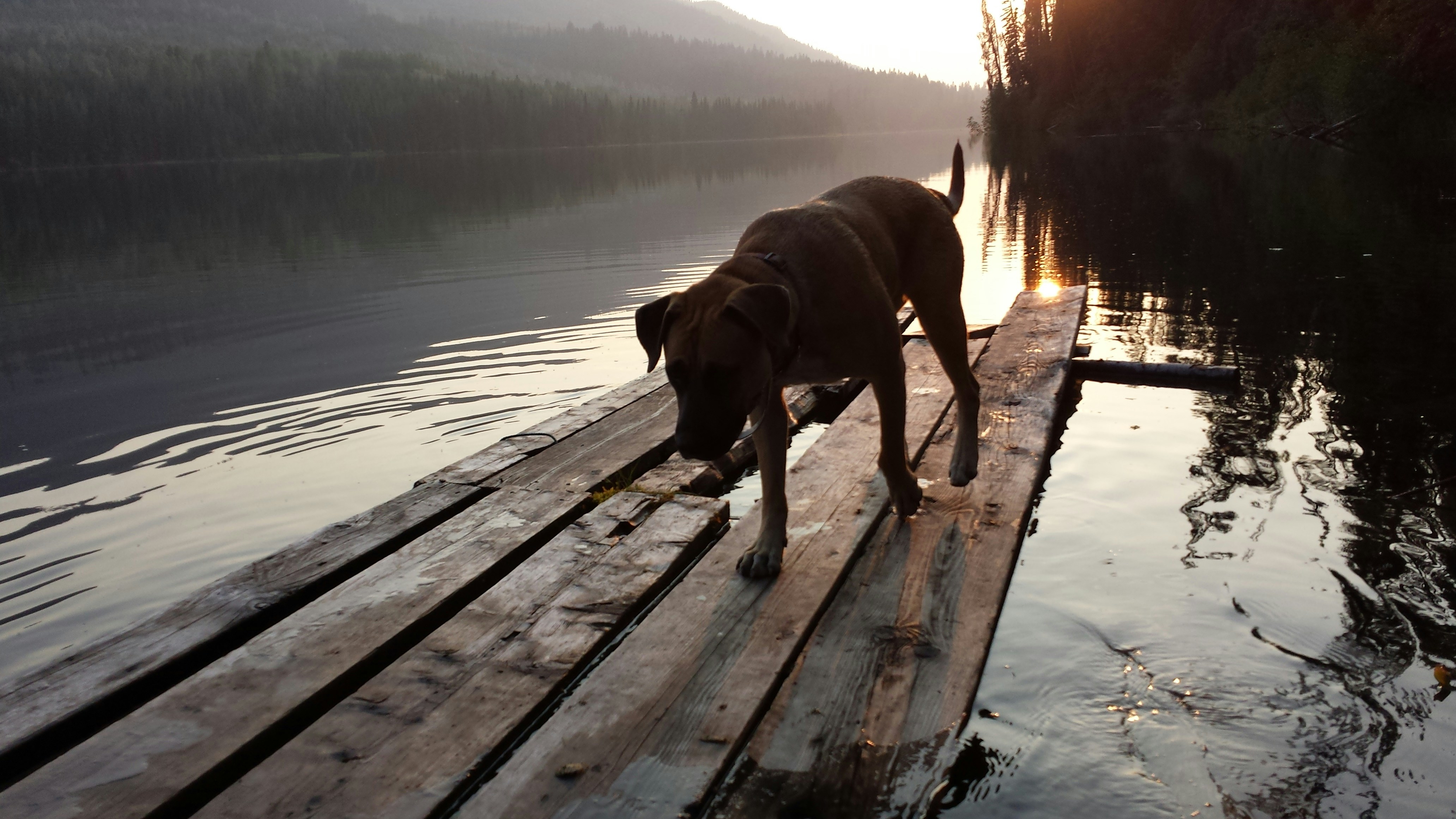 Dean Knuttila (@fishknutt) | Communauté photos Unsplash