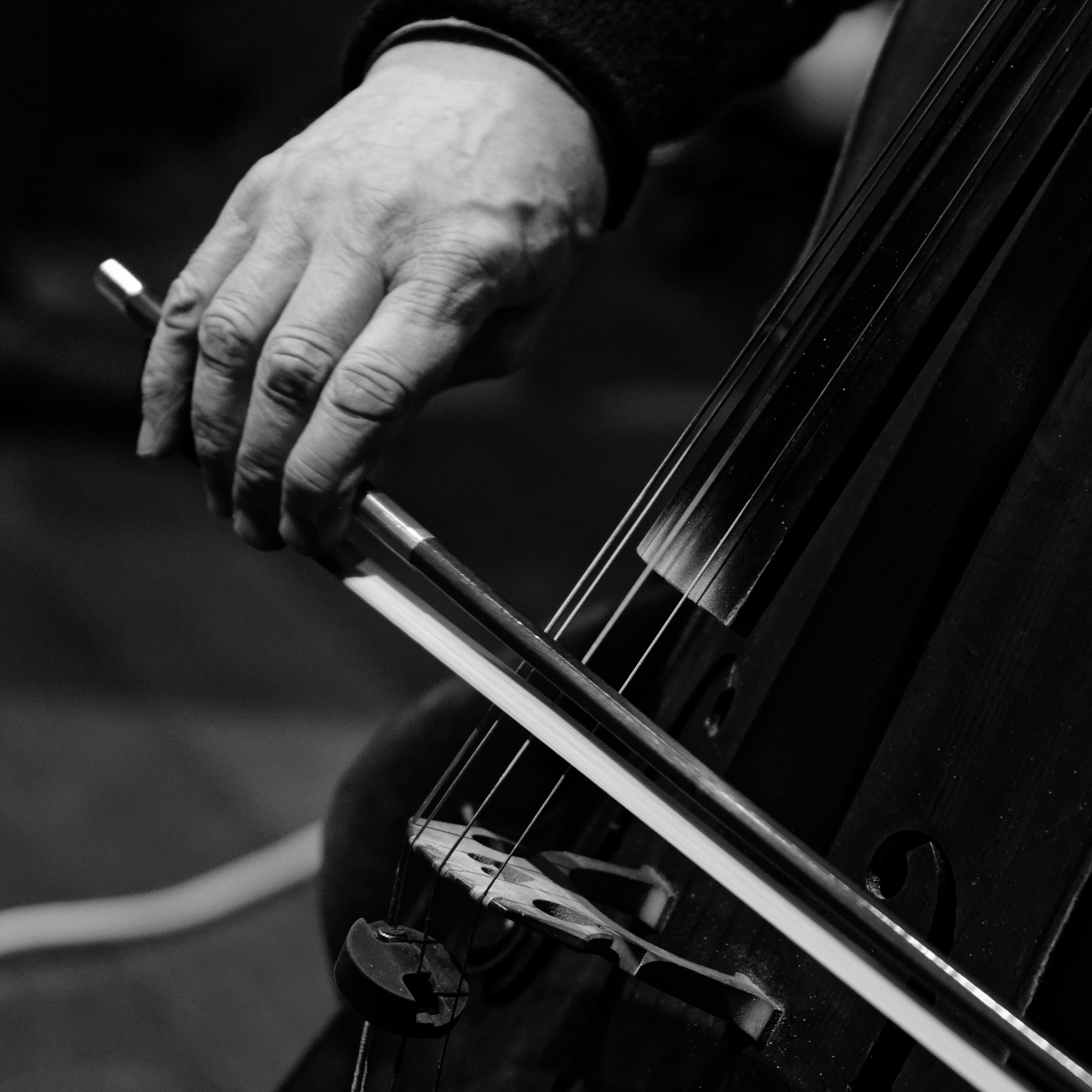 Close-up of a musician's hand skillfully playing a cello, highlighting the intricate details of the instrument and the passion of the performance.