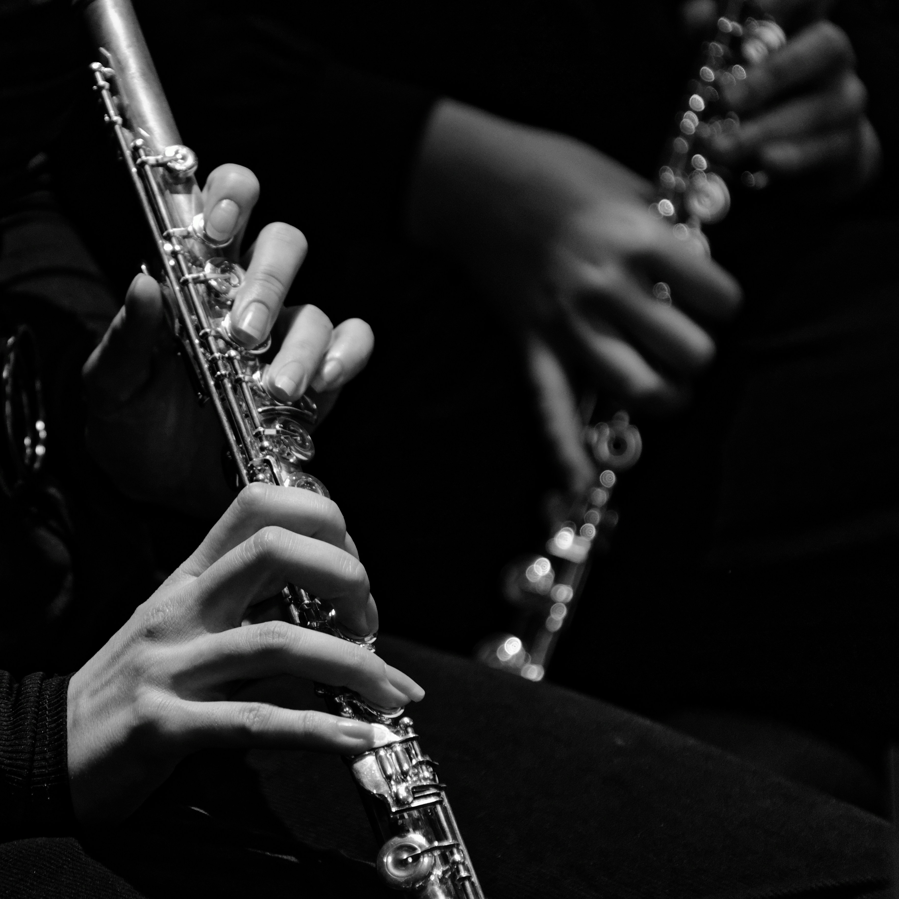 A person playing a flute in a black and white photo photo – Free Flutes ...