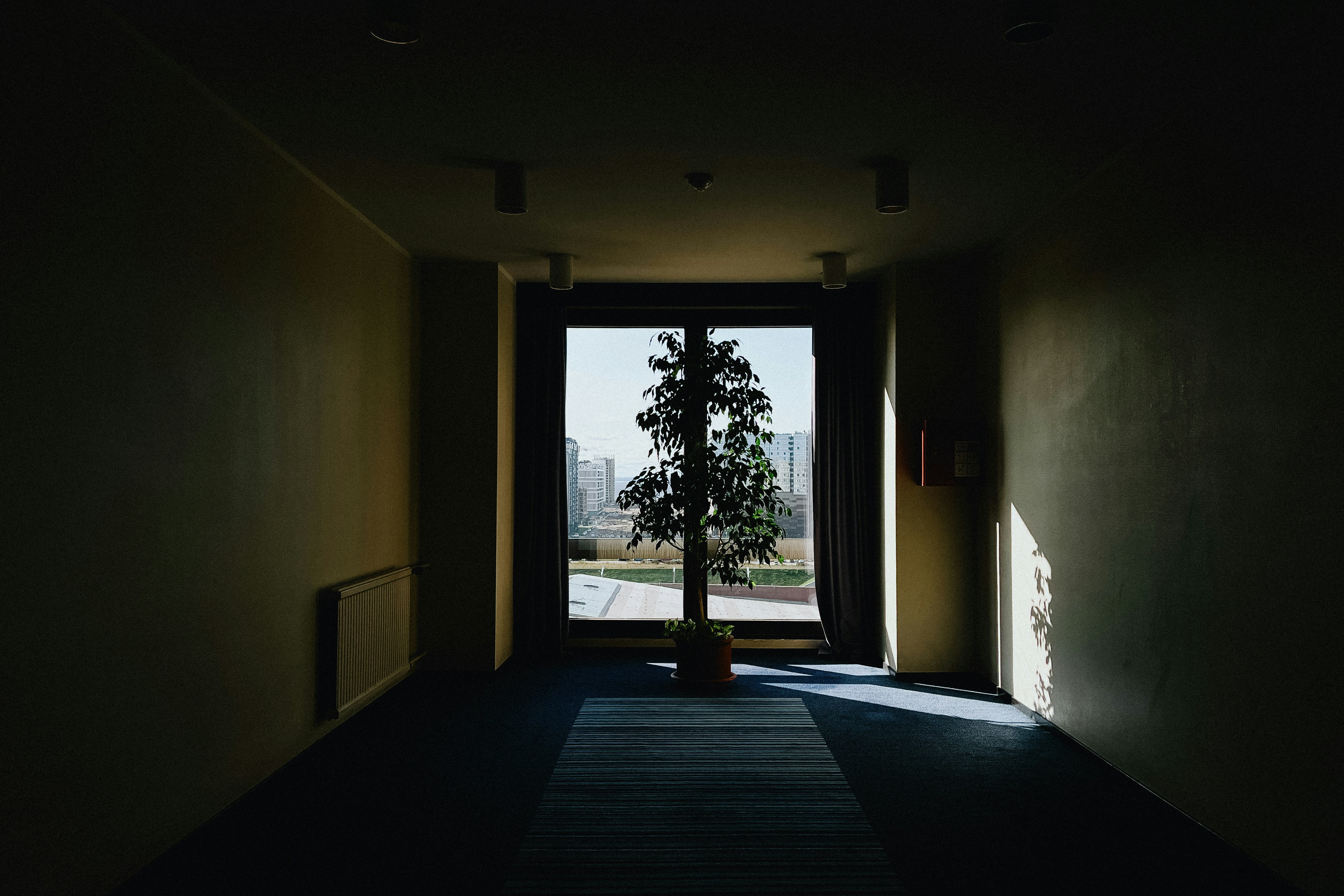 Photo by Egor Ivlev with Apple iPhone 13