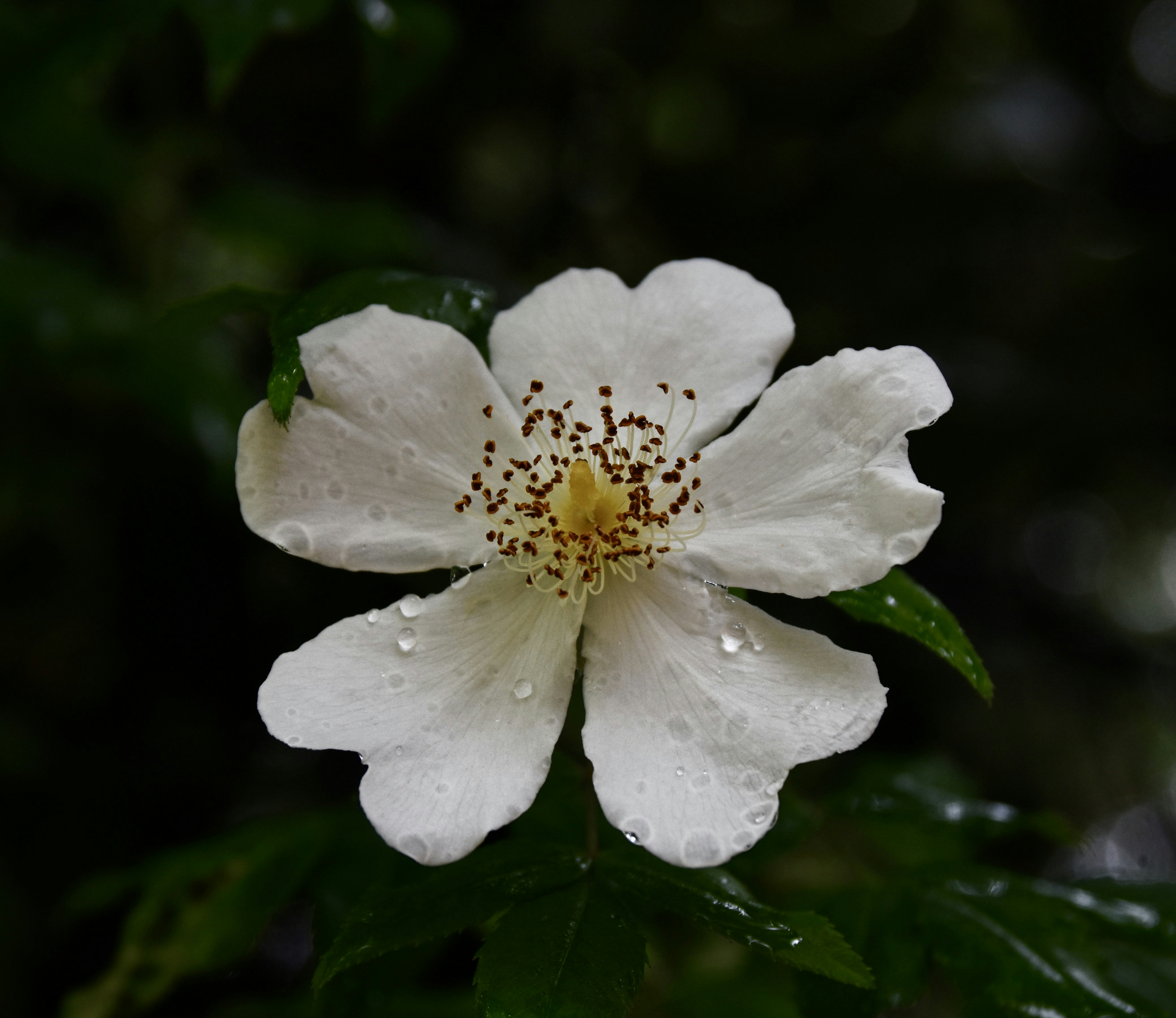 Tiago Jacinto (@tiagojct) | Komunitas Foto Unsplash