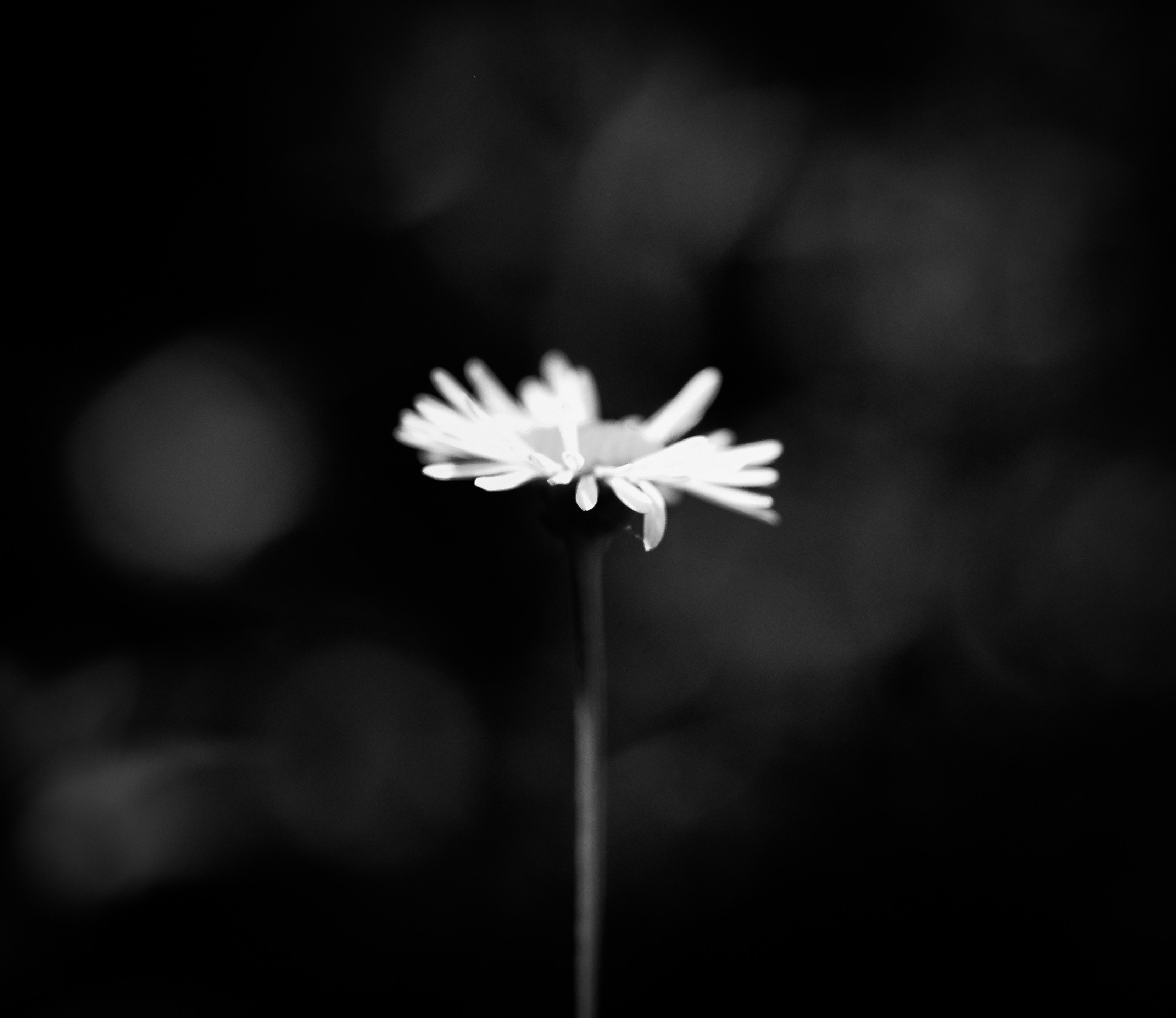 Tiago Jacinto (@tiagojct) | Komunitas Foto Unsplash