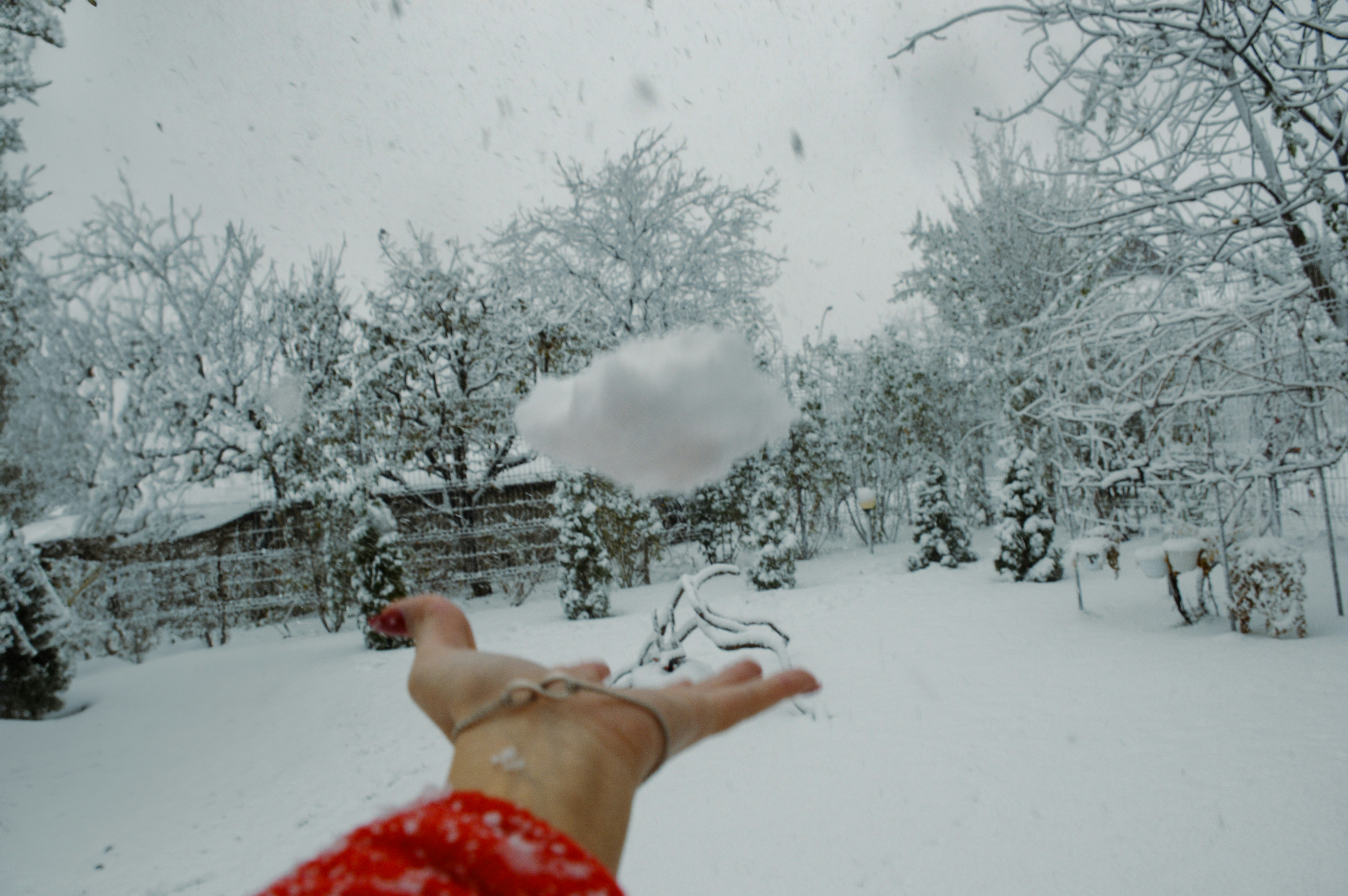 Photo by Doriana Popa with Nikon D3200